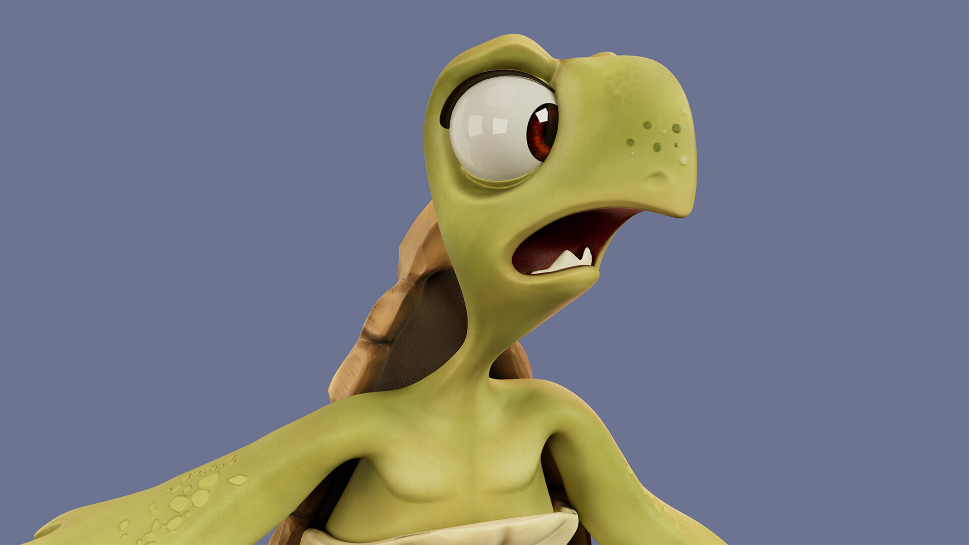 Tomas Sosto - Turtle by Maria Florencia Nespola