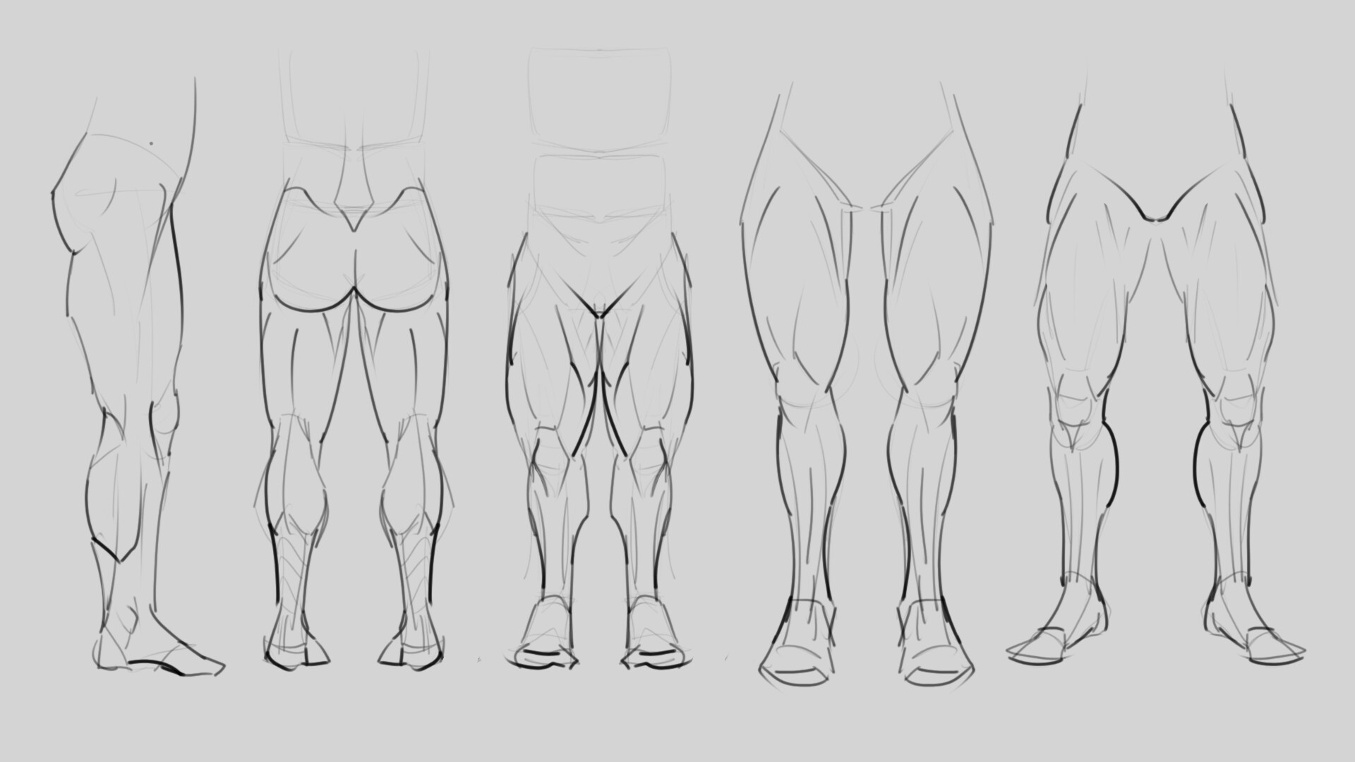 ArtStation - Leg Anatomy Study