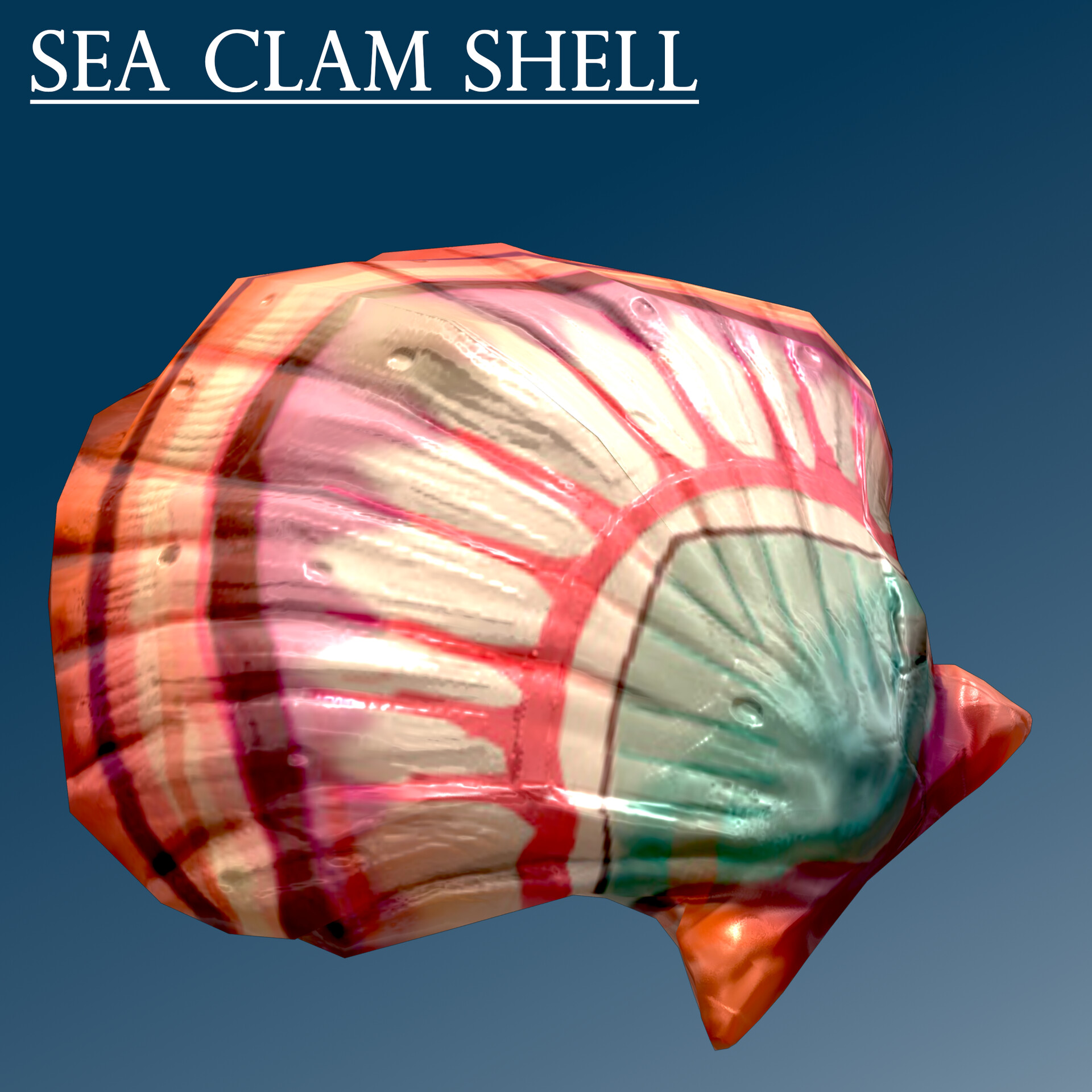 ArtStation - Sea Clam Shell 3D Model- 2024