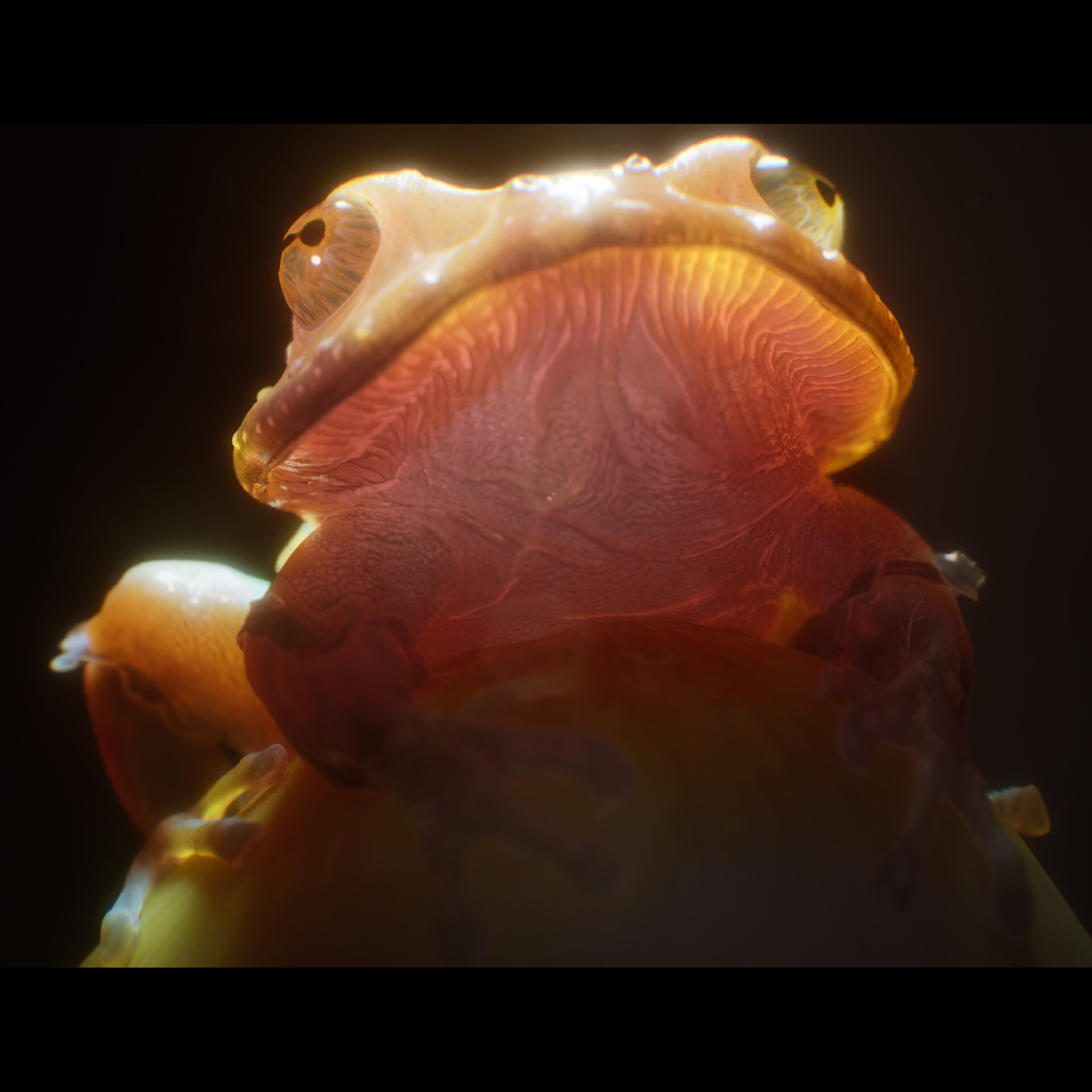 ArtStation - Mushroom Frog – Realtime Creature