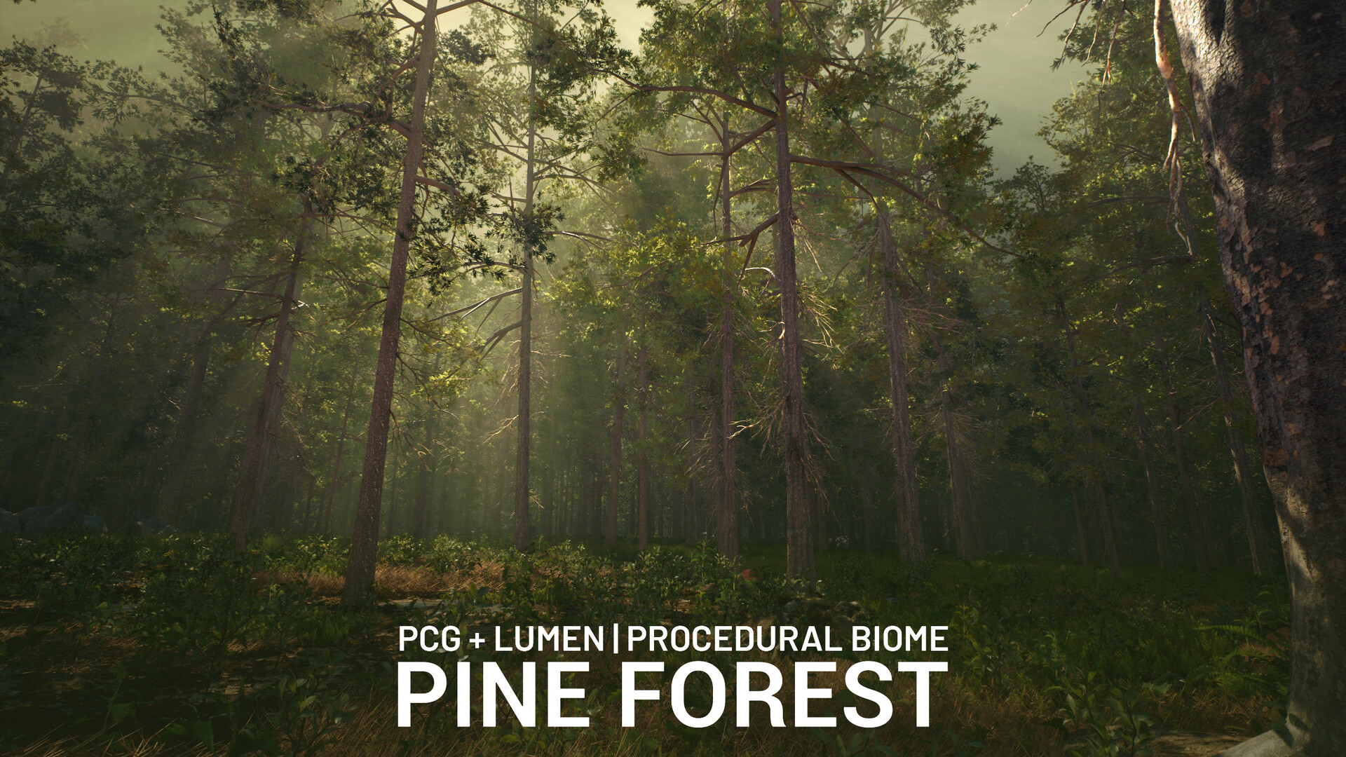 ArtStation - Pine Trees Forest Biome