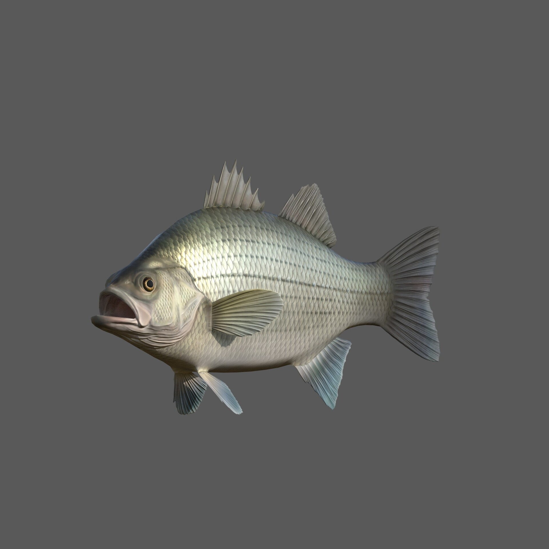 ArtStation - Whitebass