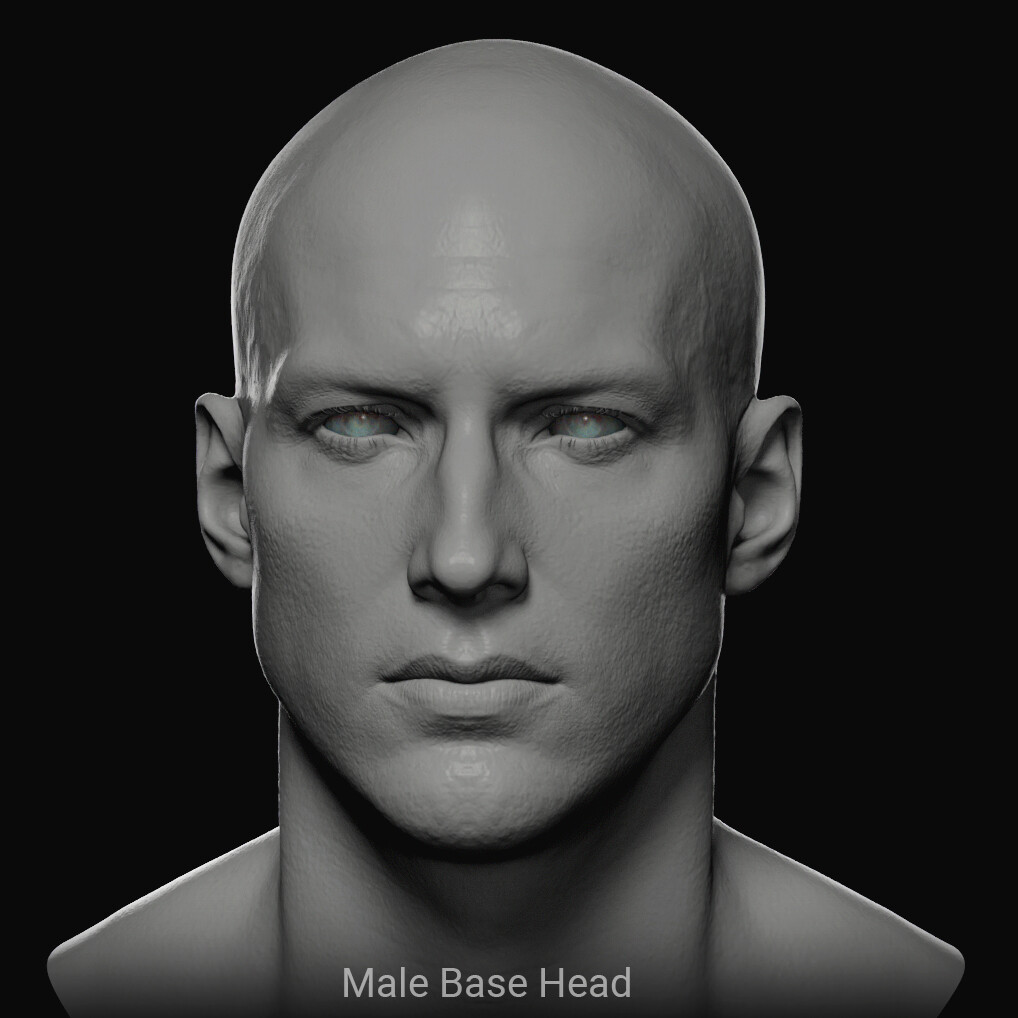 ArtStation - Male Base Head