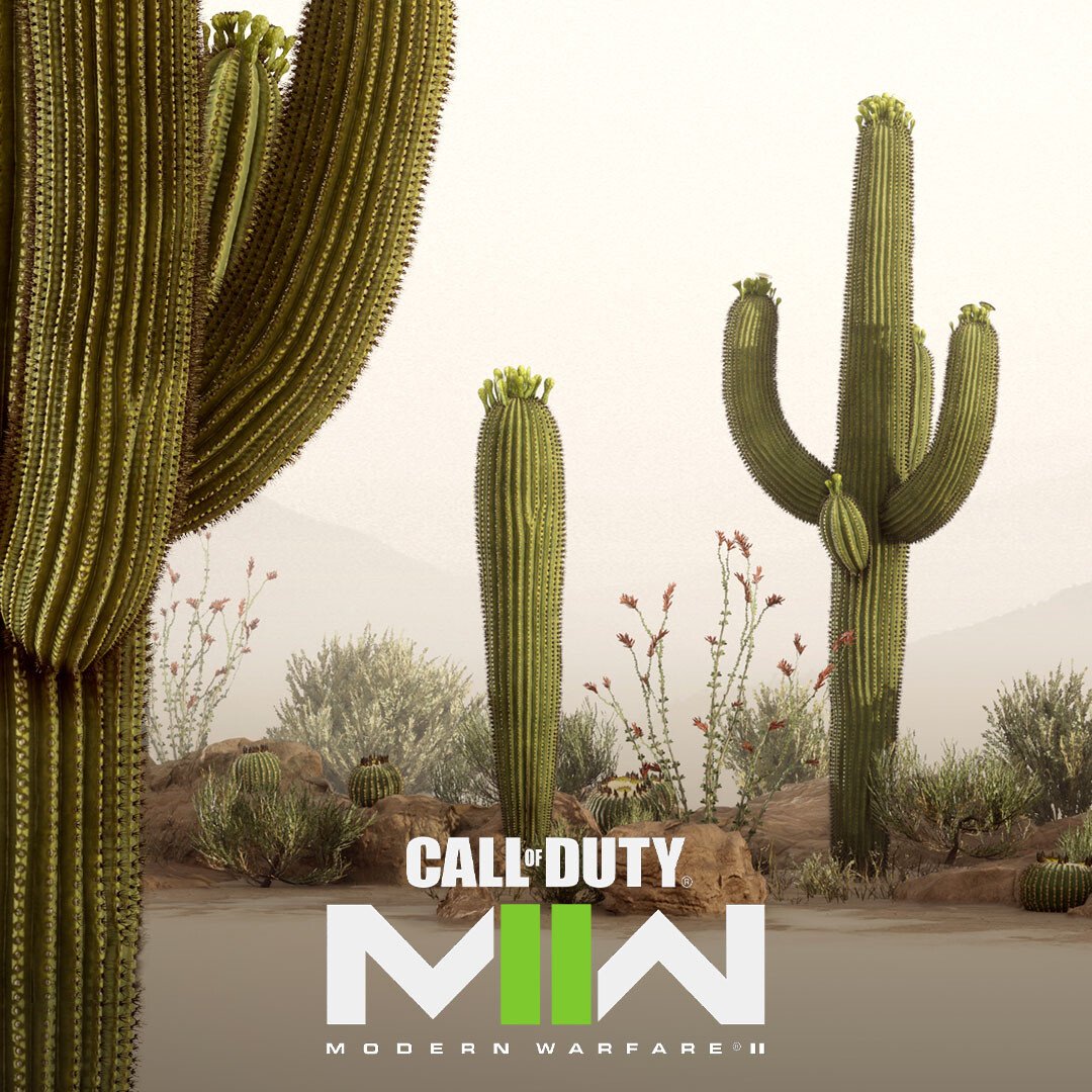 ArtStation - In-game Foliage for Call of Duty: Modern Warfare II