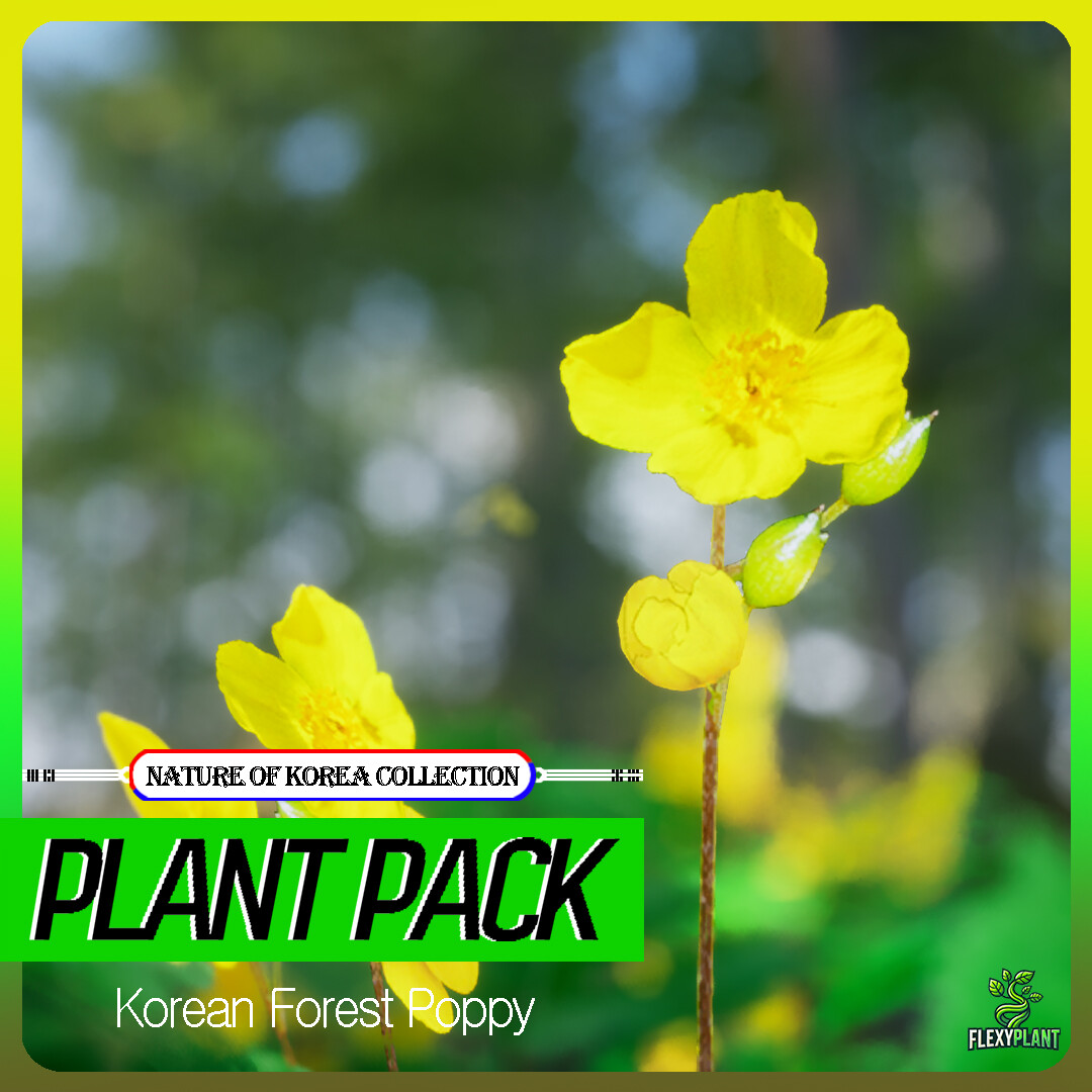 ArtStation - 4 realistic Korean Forest Poppy Flower Plant