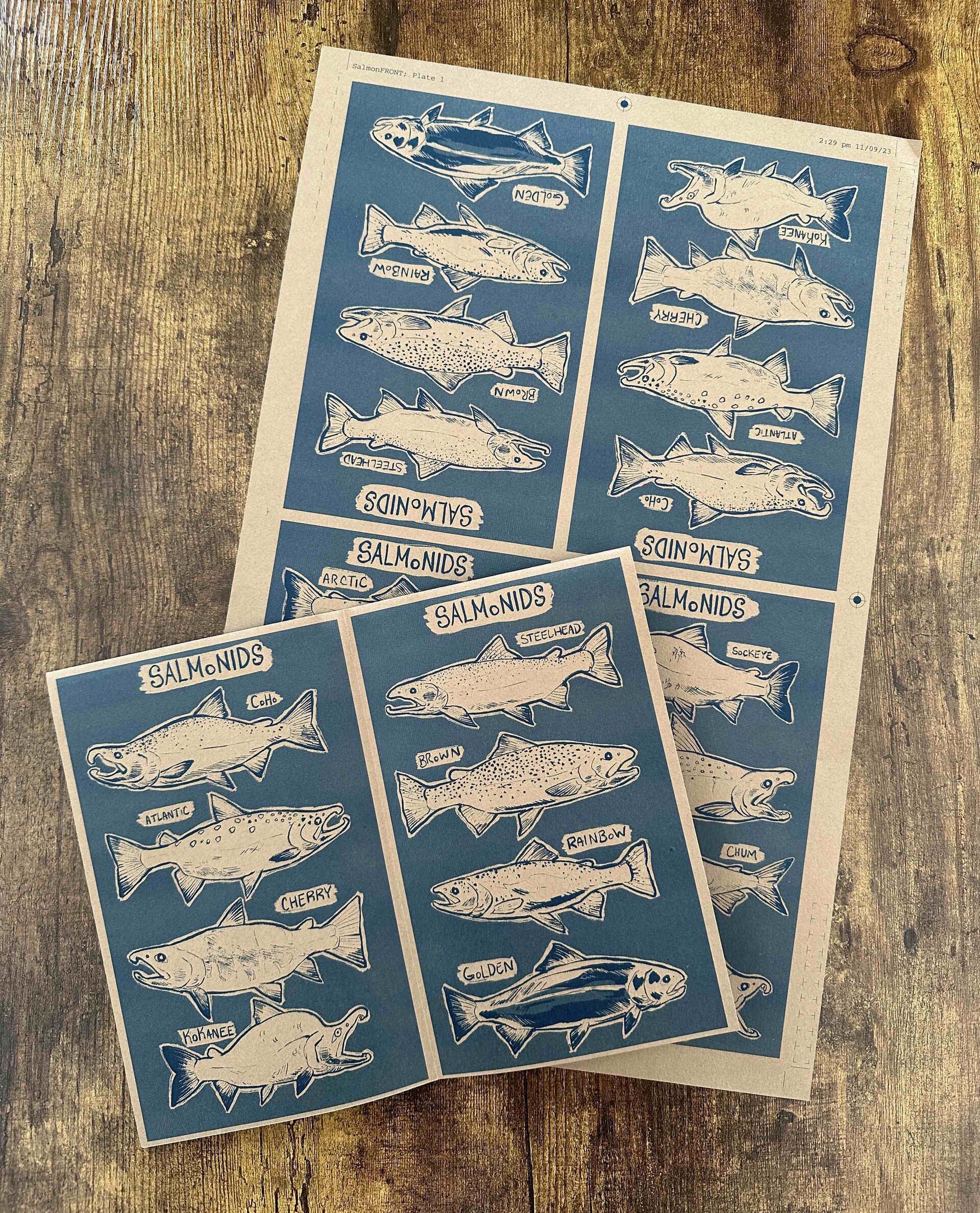 Jack Estep - Salmonid Foldable Zine