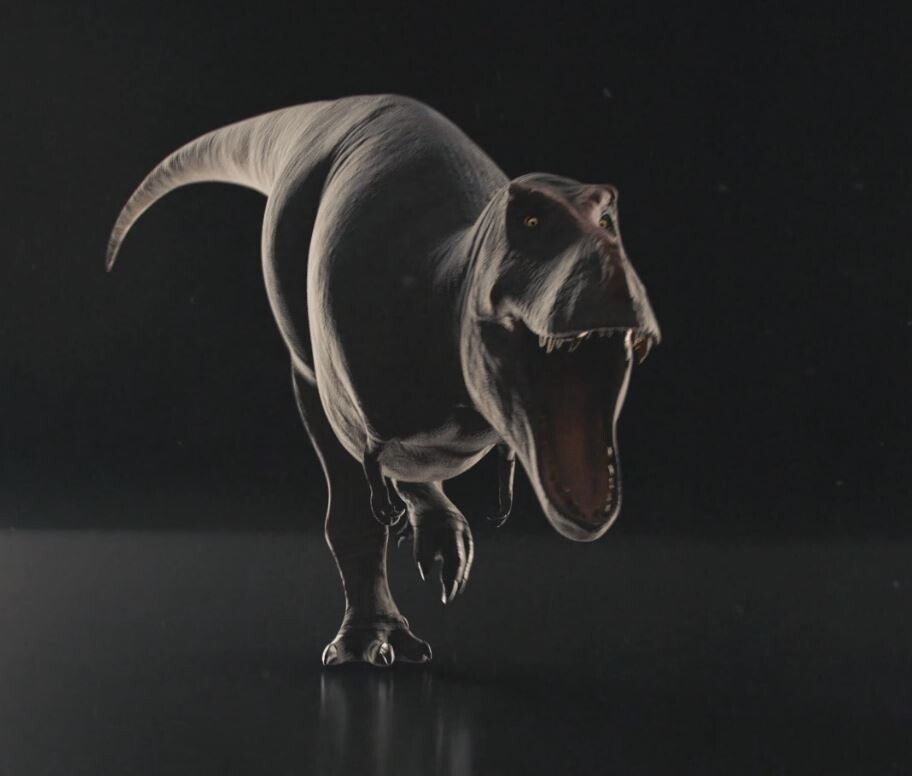 ArtStation - T-rex runs