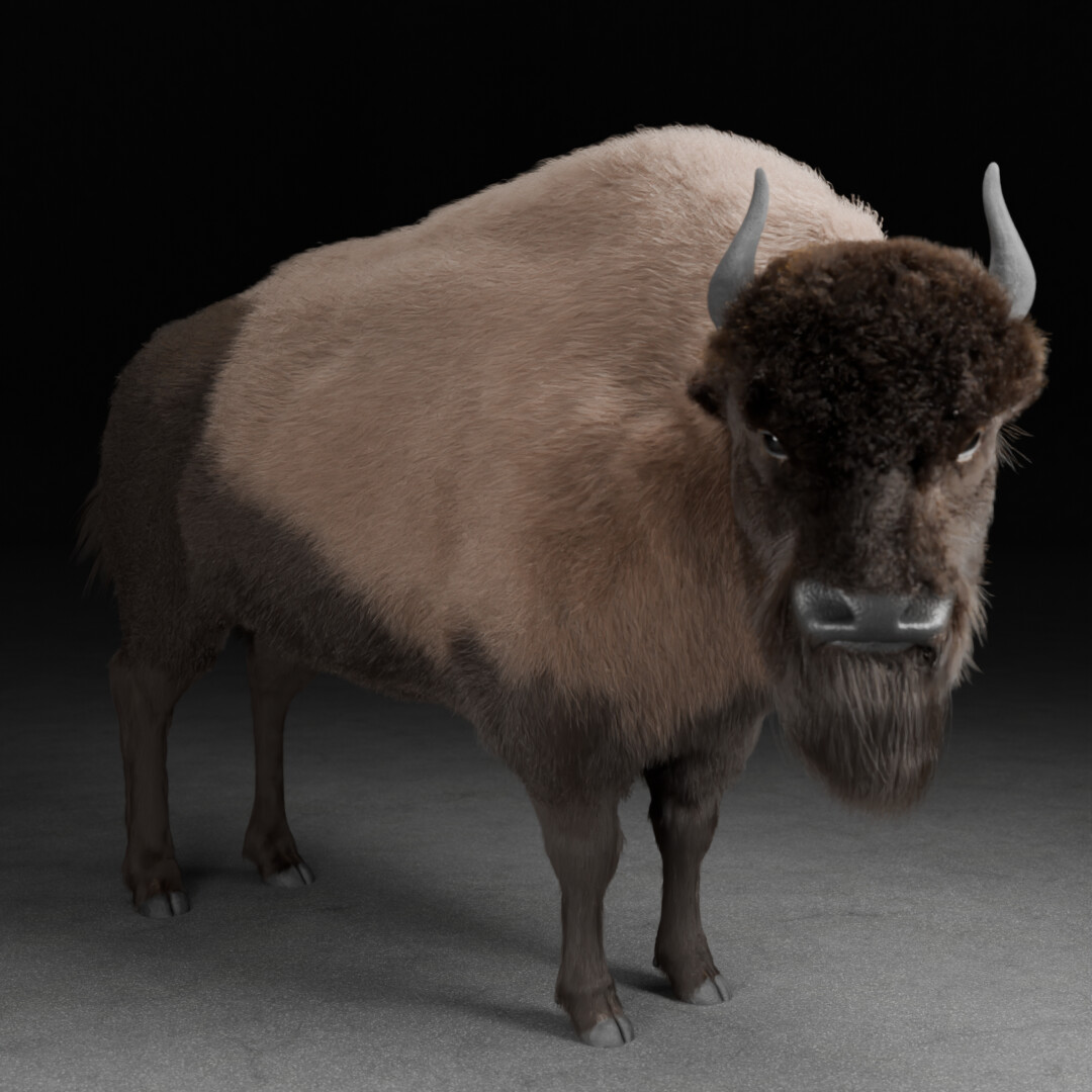 ArtStation - Bison