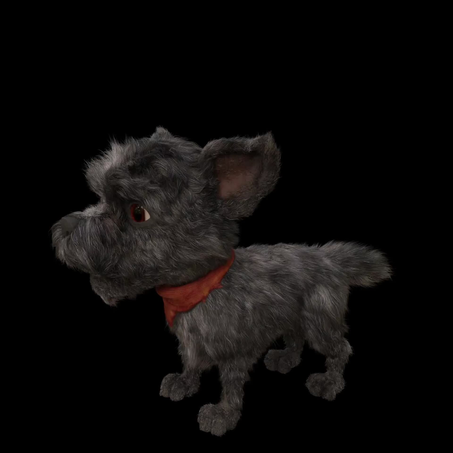 ArtStation - Dog animations