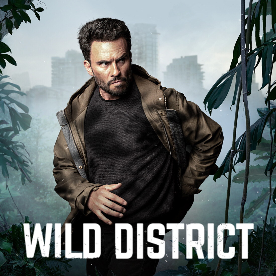 ArtStation - WILD DISTRICT