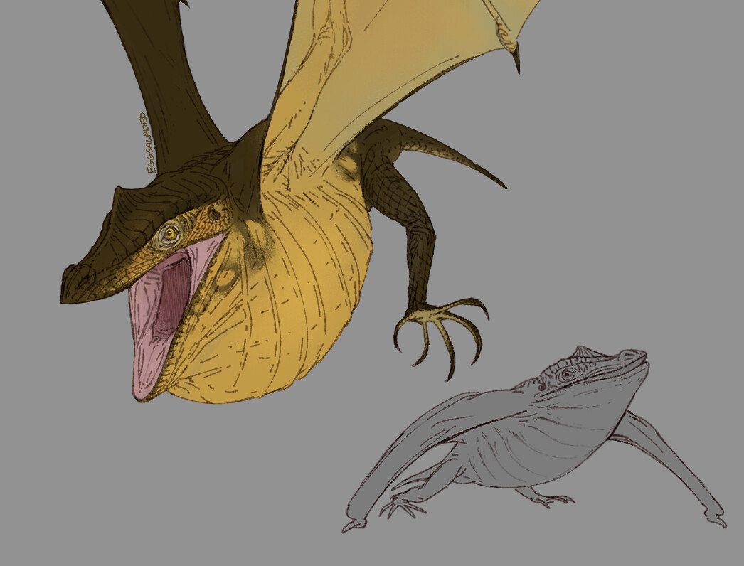 ArtStation - round dragon