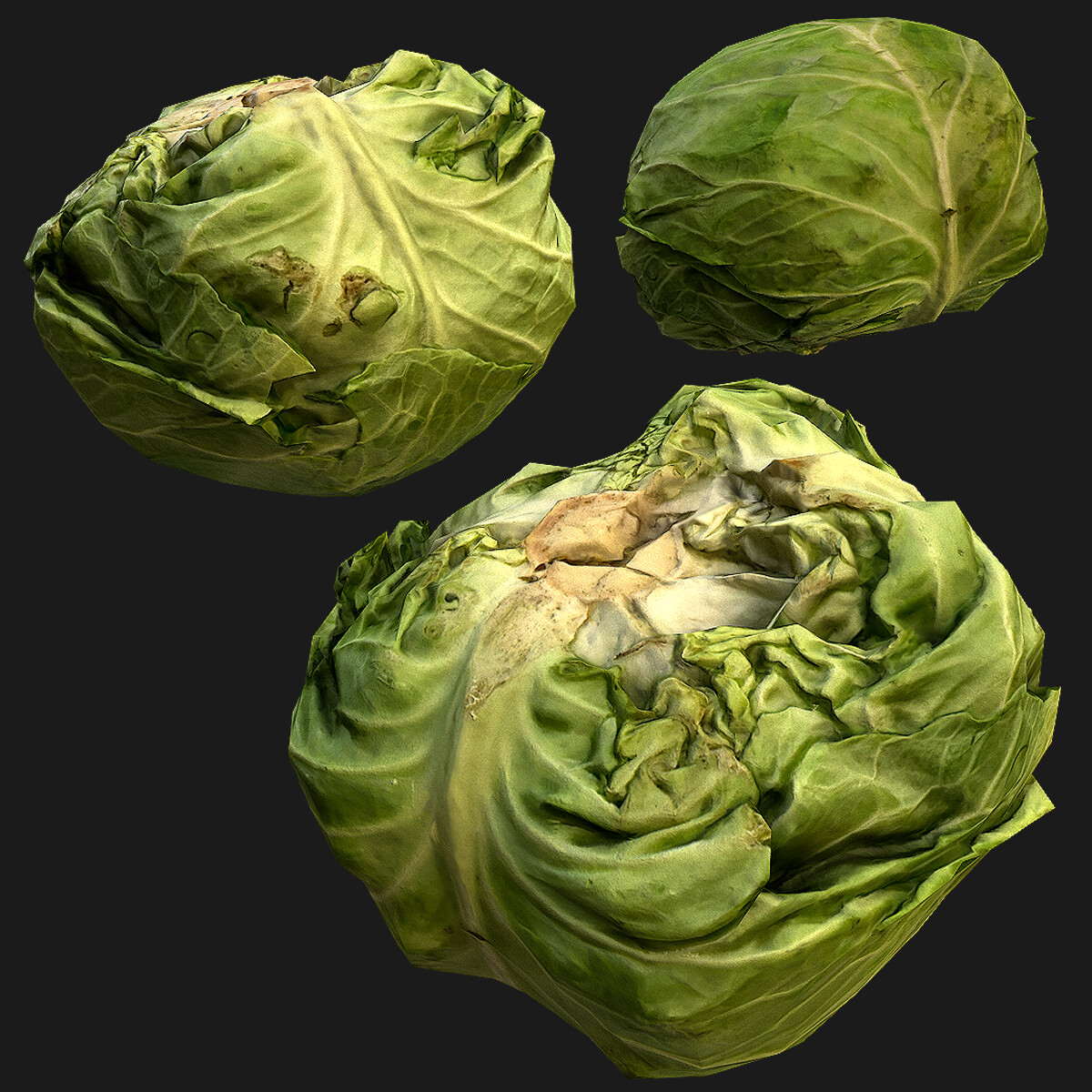 ArtStation - Cabbage head