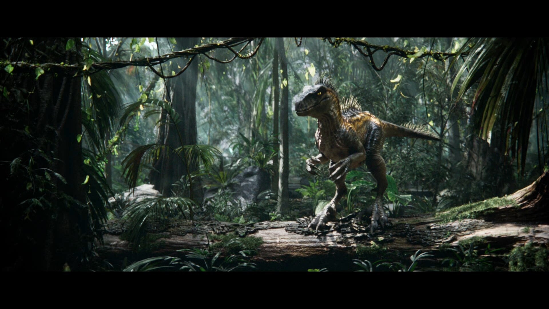 ArtStation - Raptor