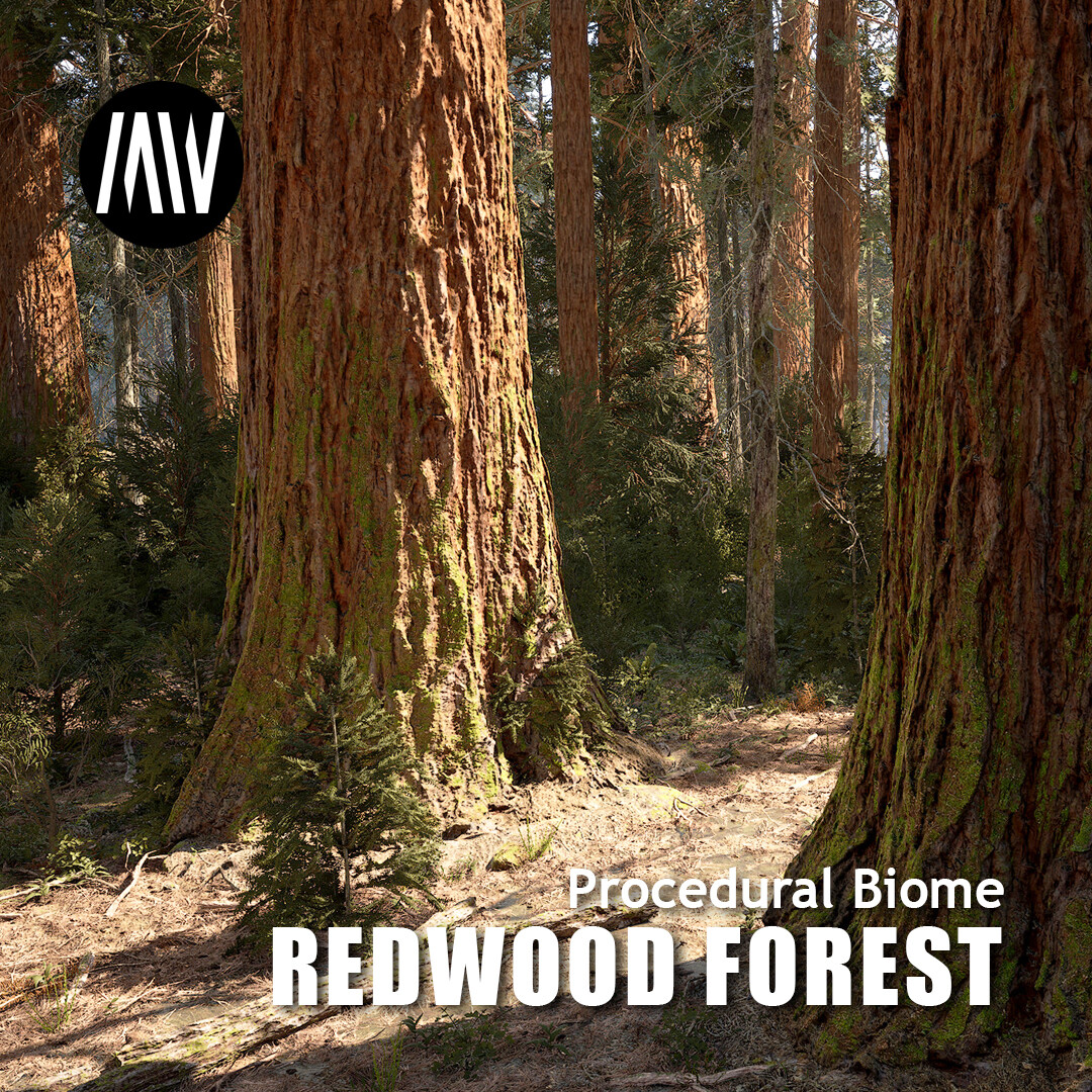 ArtStation - MW Redwood Forest Biome UE5.5