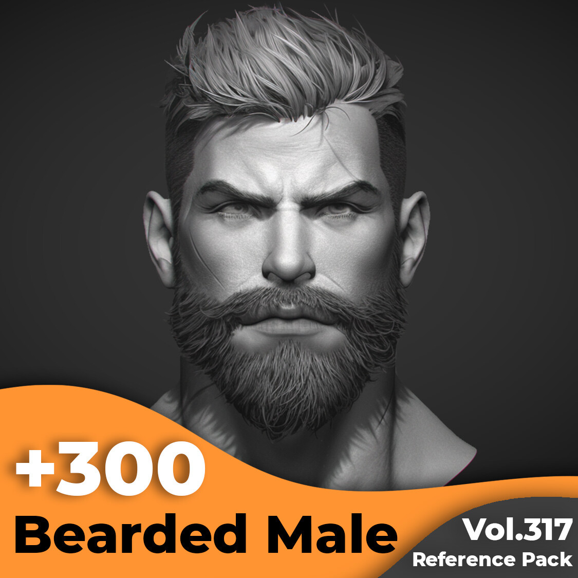 ArtStation - +300 Bearded Male Head Sculpt Reference Images(4k)