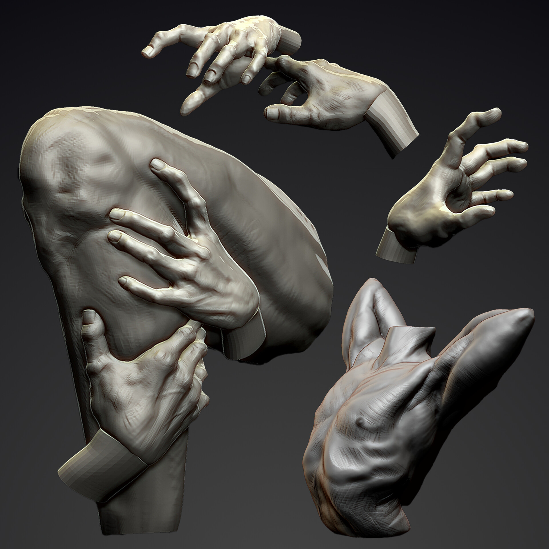 ArtStation - Anatomy Sculpts