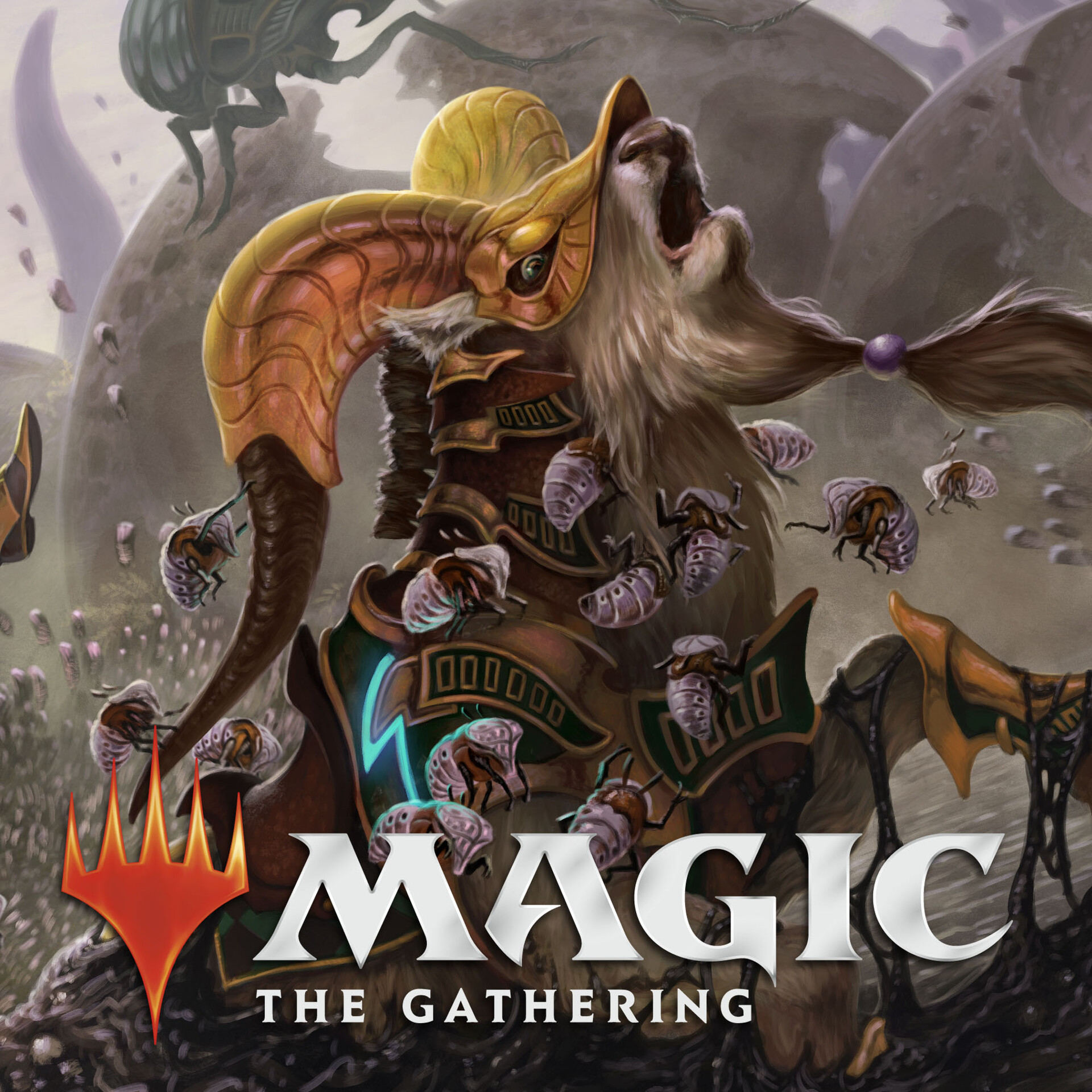 Loïc CANAVAGGIA - Quag feast