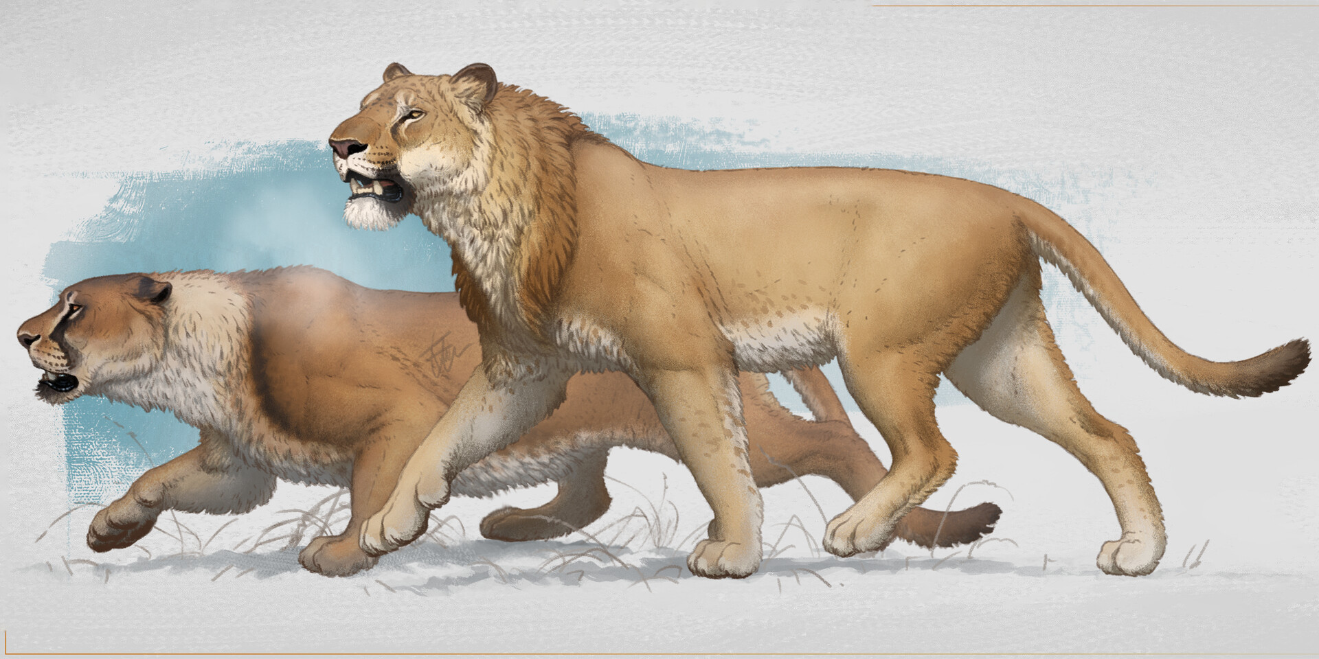 ArtStation - Eurasian Cave Lion & American Lion