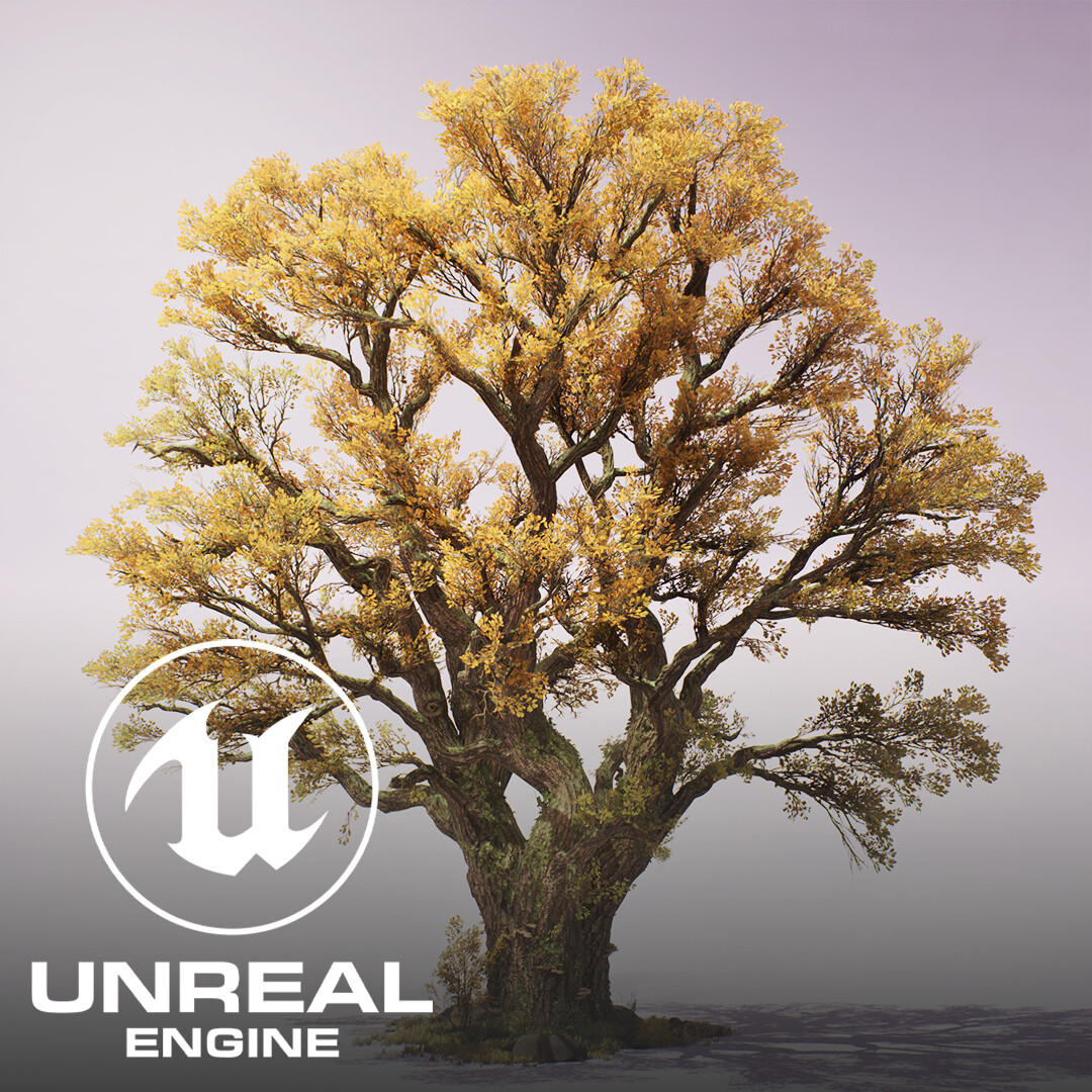 ArtStation - Oak - Vegetations