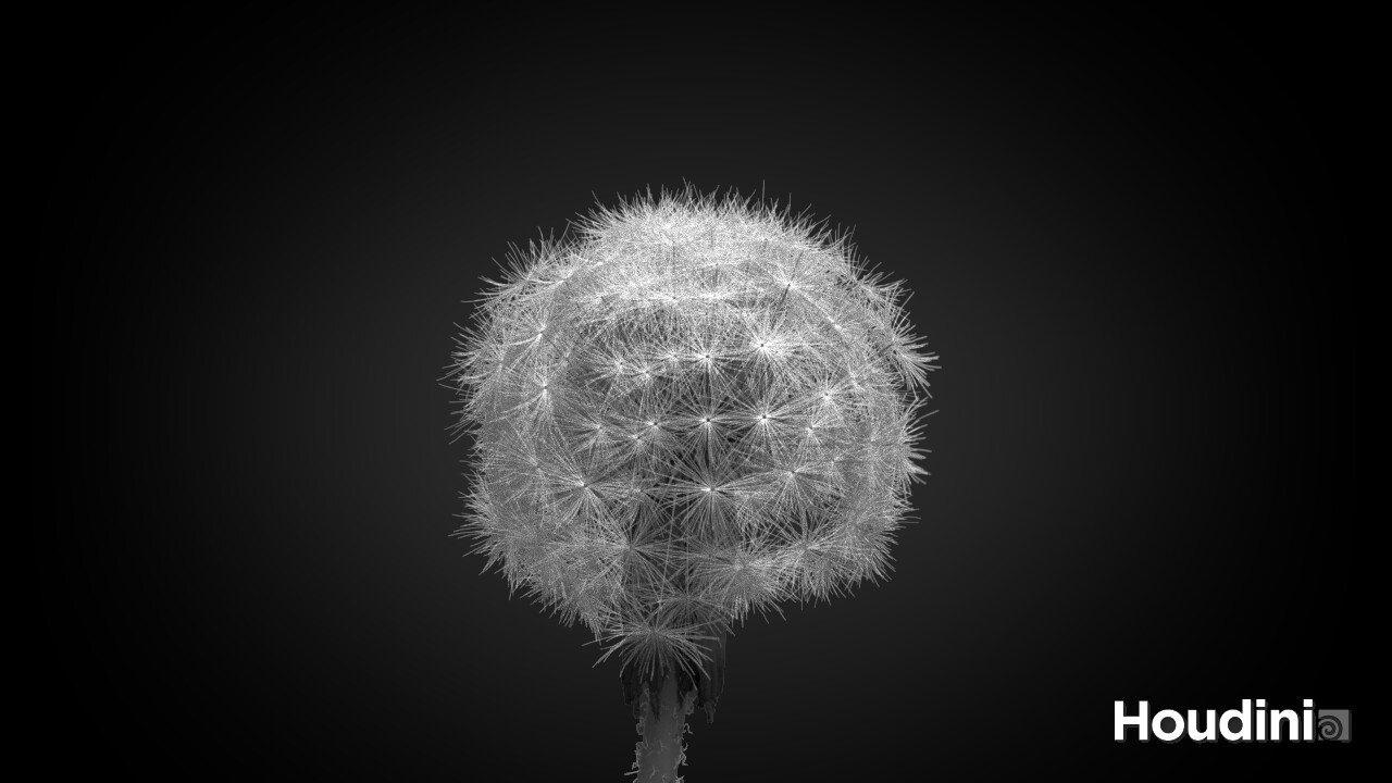 ArtStation - Dandelion Growth