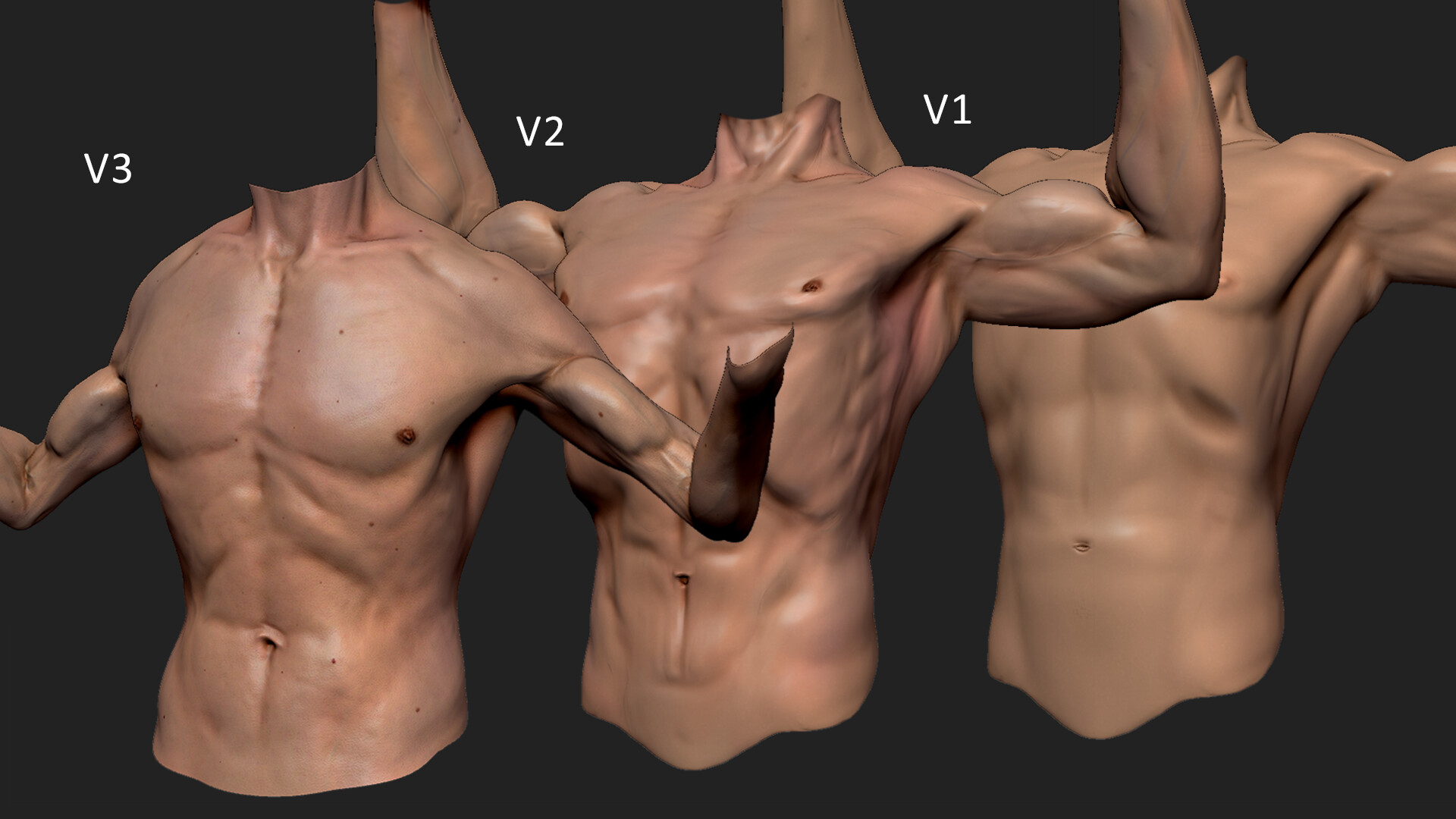 ArtStation - Bust and arms study - Over the years