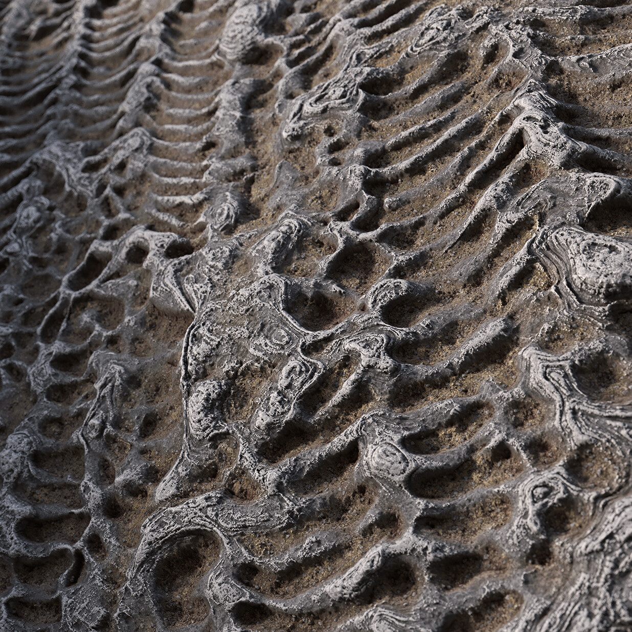 ArtStation - Bone-like Stone Surface
