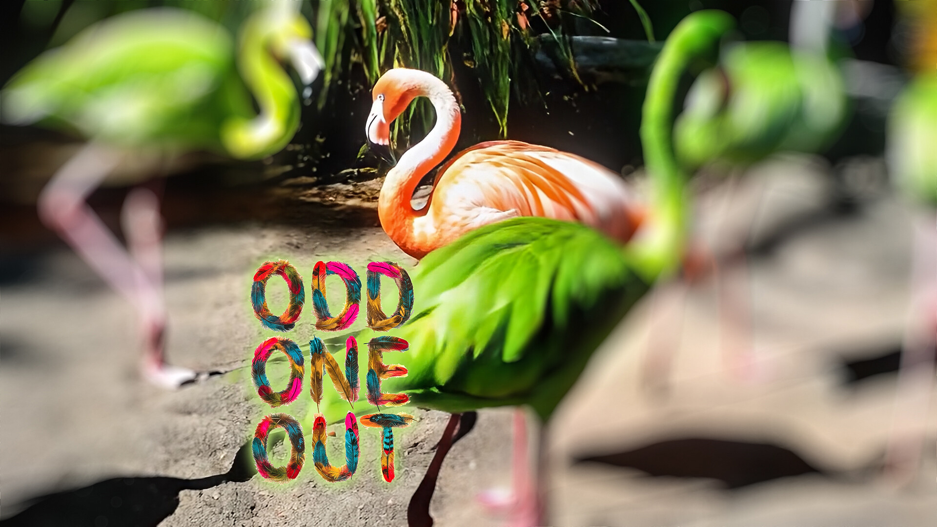 ArtStation - ODD ONE OUT