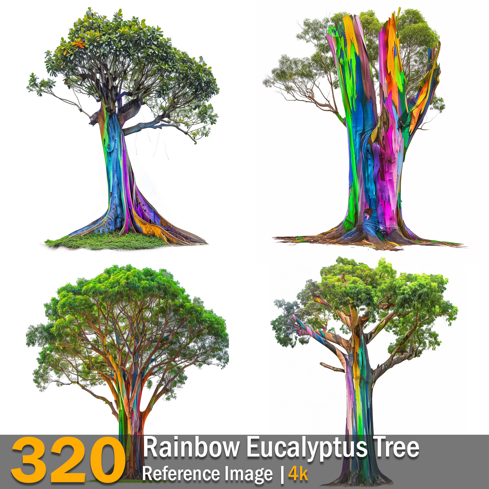 ArtStation - Rainbow Eucalyptus Tree | Reference Images | 4K