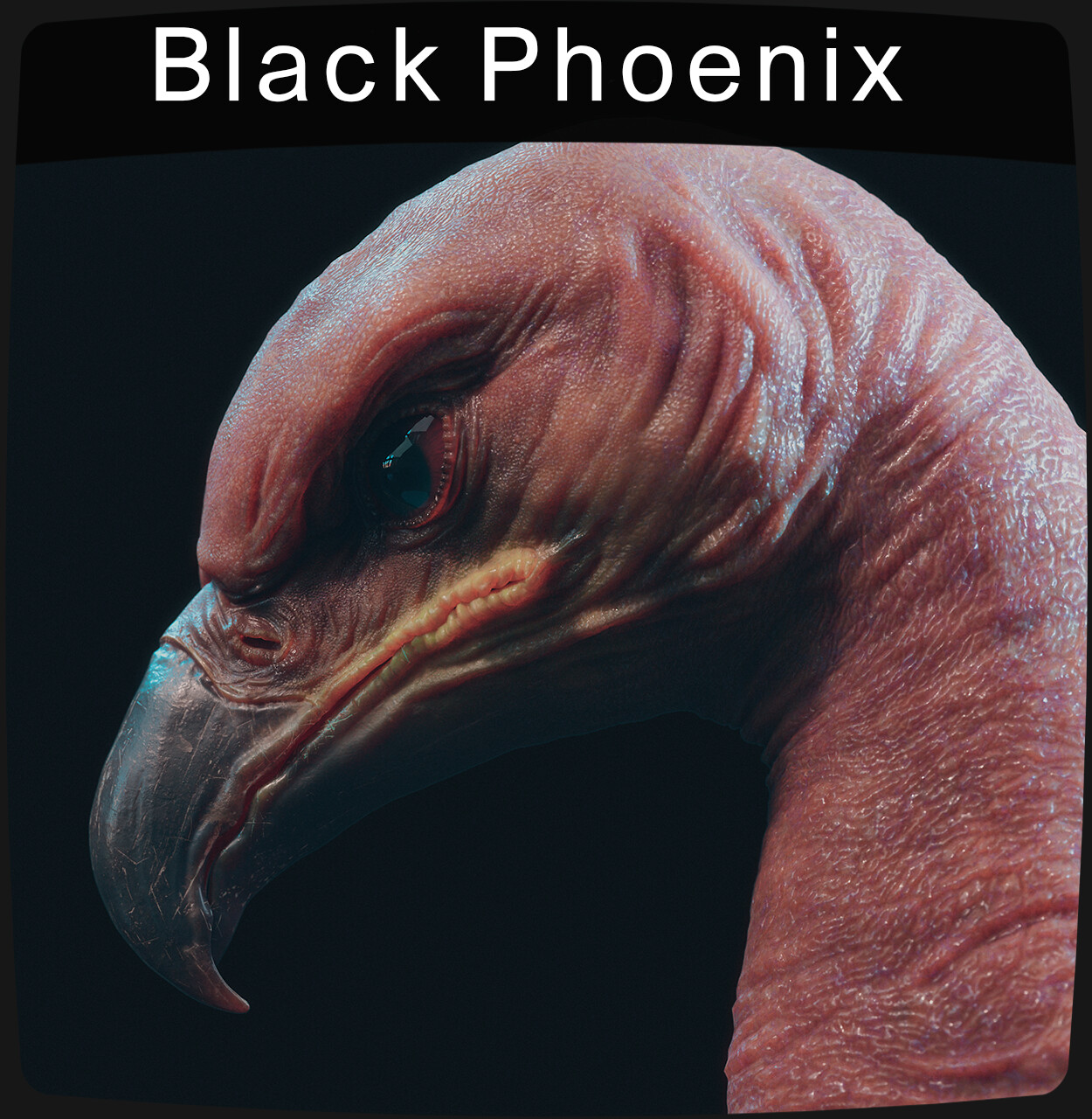ArtStation - Black Phoenix _Renders
