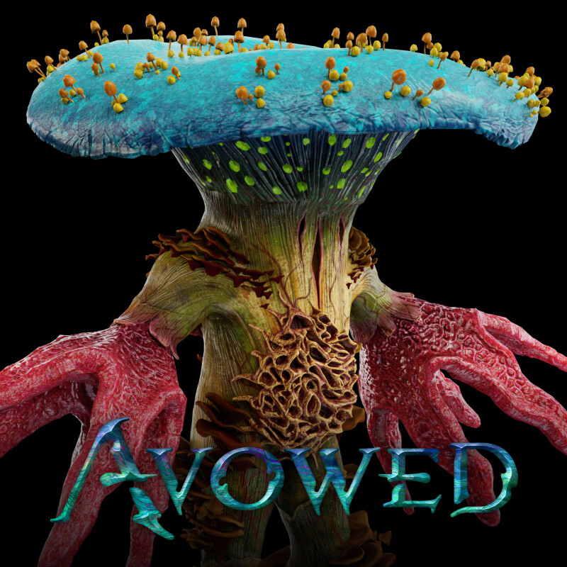 ArtStation - Melee for Avowed