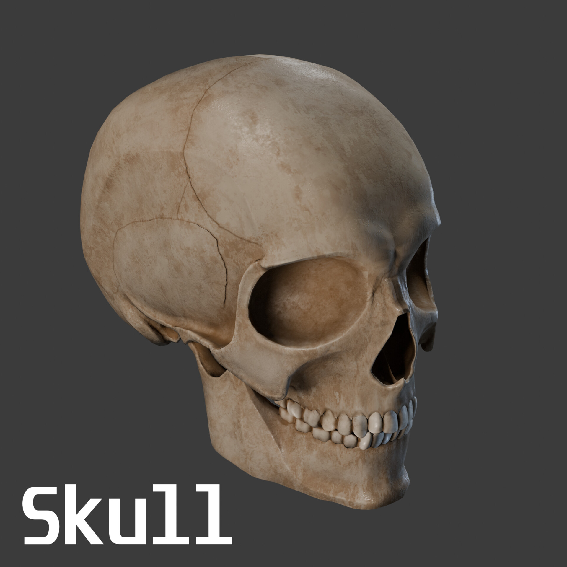 ArtStation - Skull