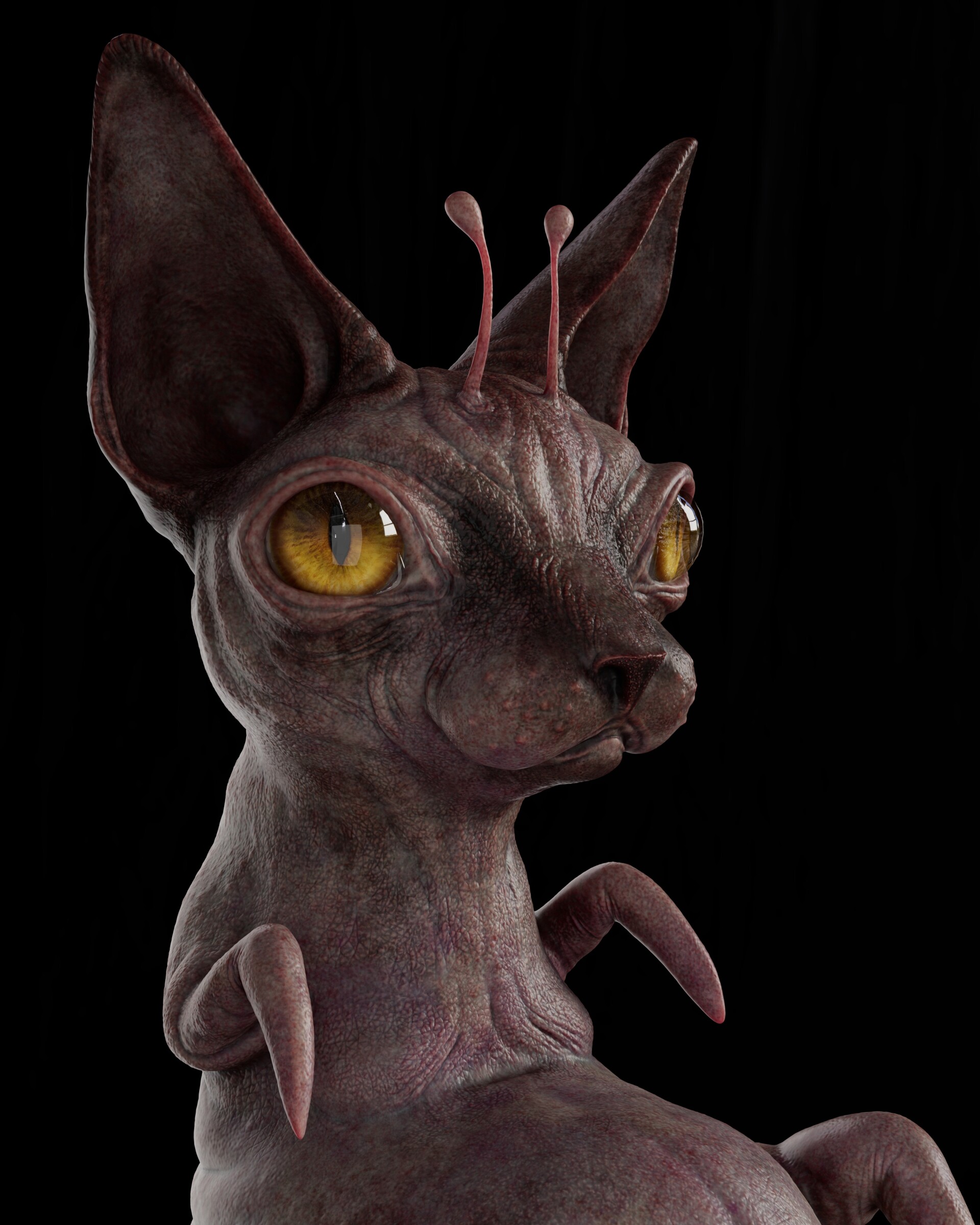 ArtStation - CAT?