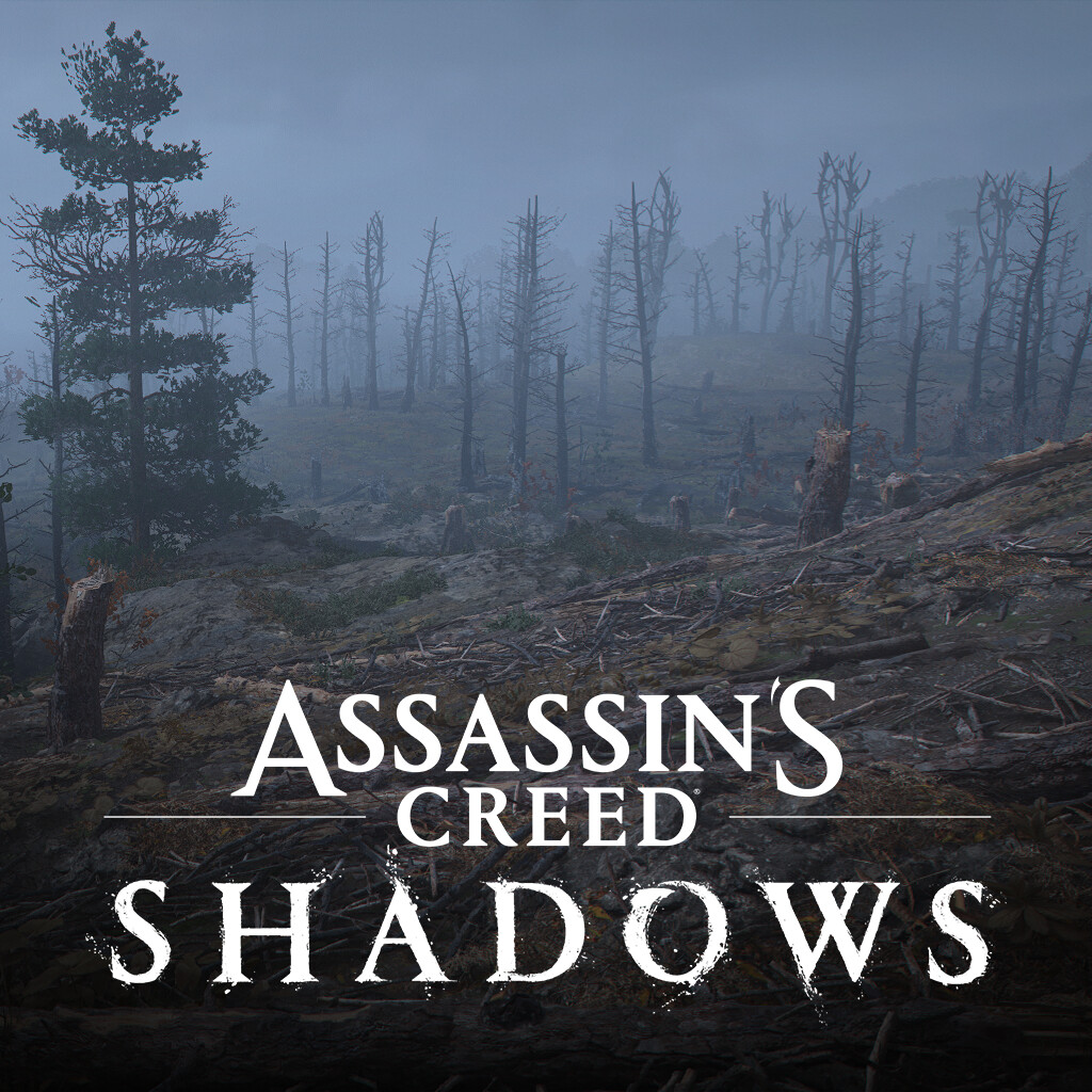 ArtStation - Assassin's Creed: Shadows - Biomes - Deforested/Burned ...
