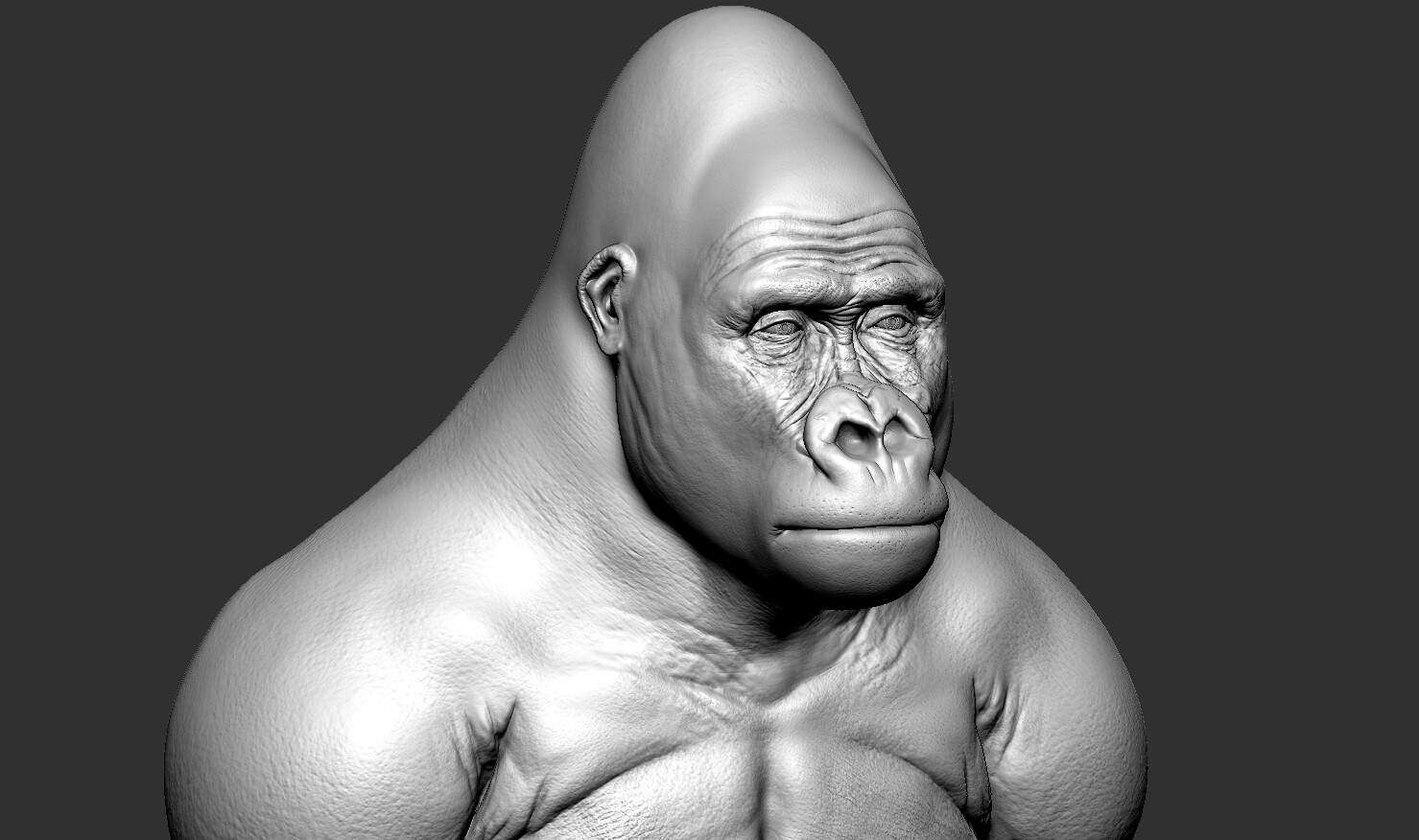 ArtStation - Gorilla Digital Sculpt - WIP