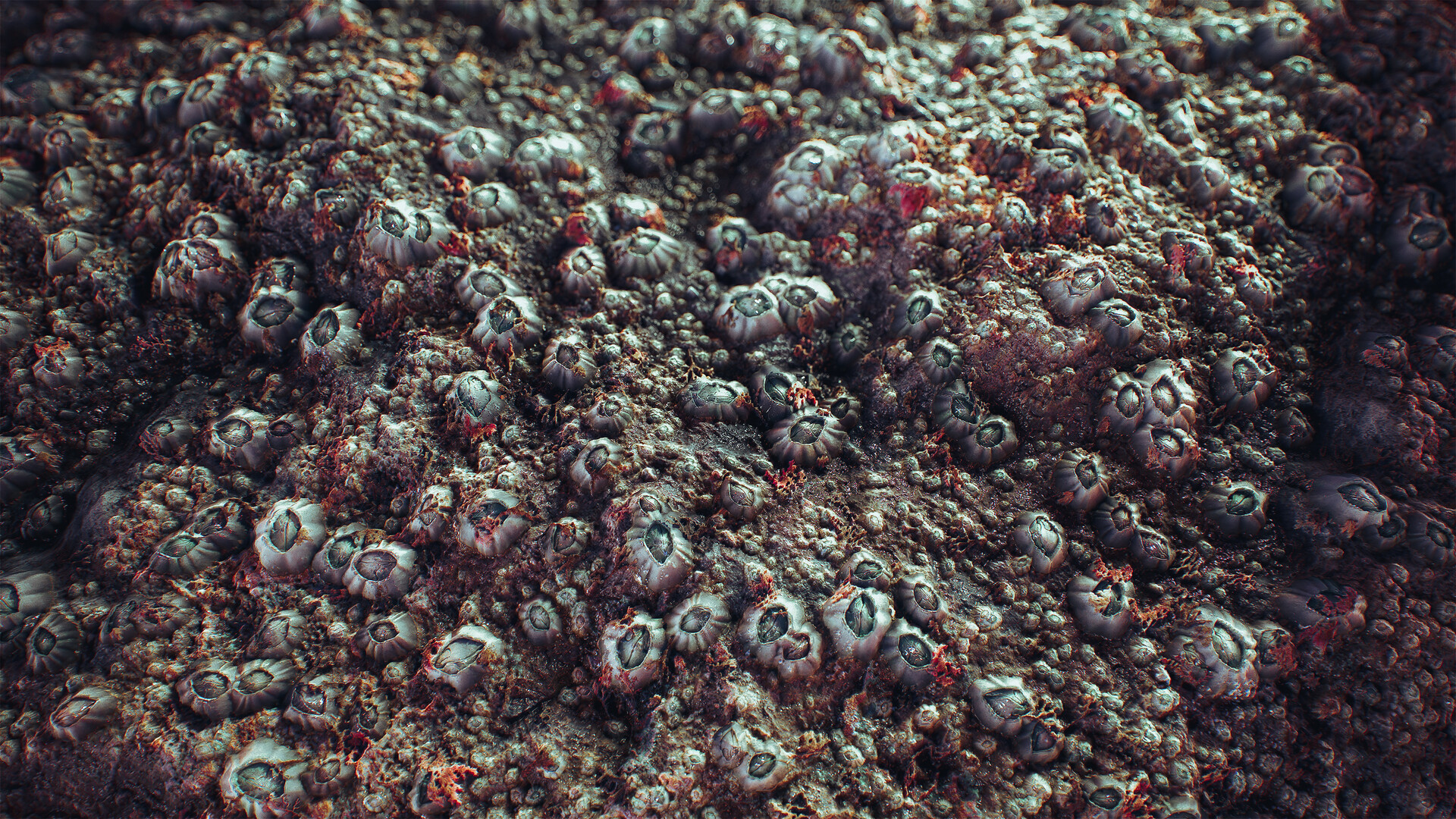 ArtStation - Barnacle material