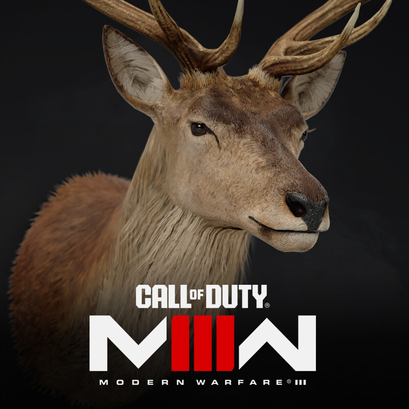 ULYSSES GRAPHICS - Call of Duty: MW III