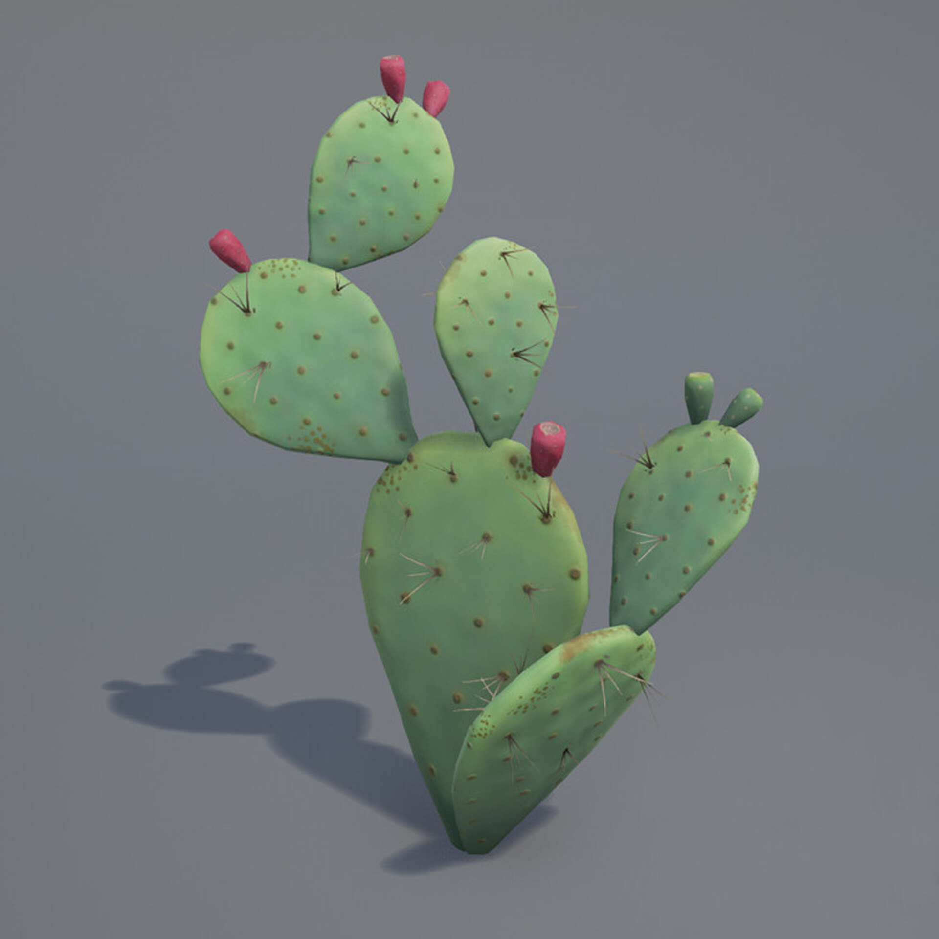 ArtStation - Prickly Pear