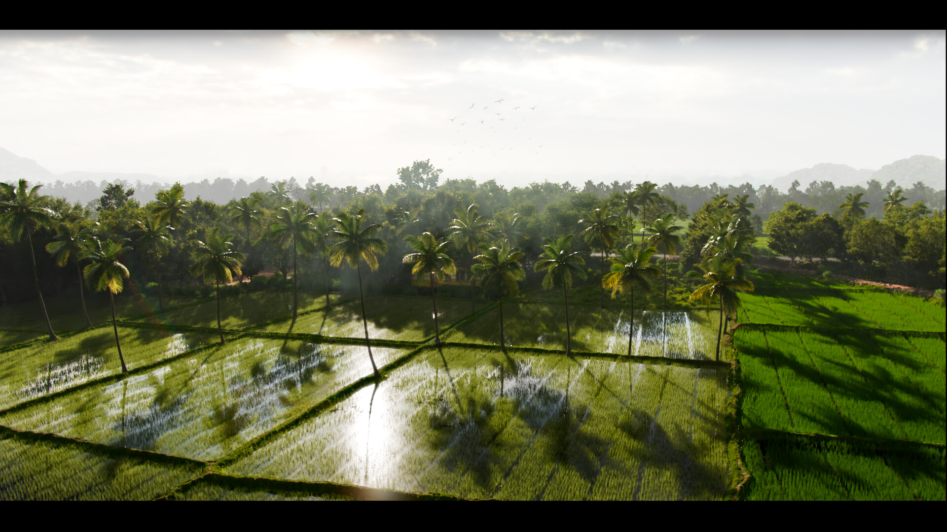 ArtStation - Paddy Field- Landscape