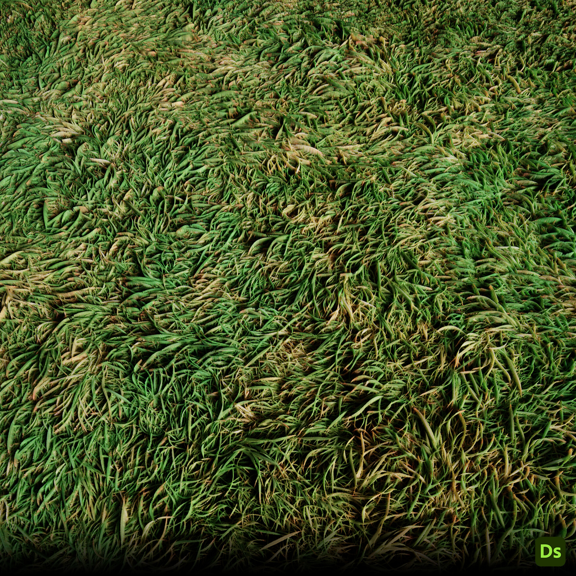 ArtStation - Grass Gen (Ds)