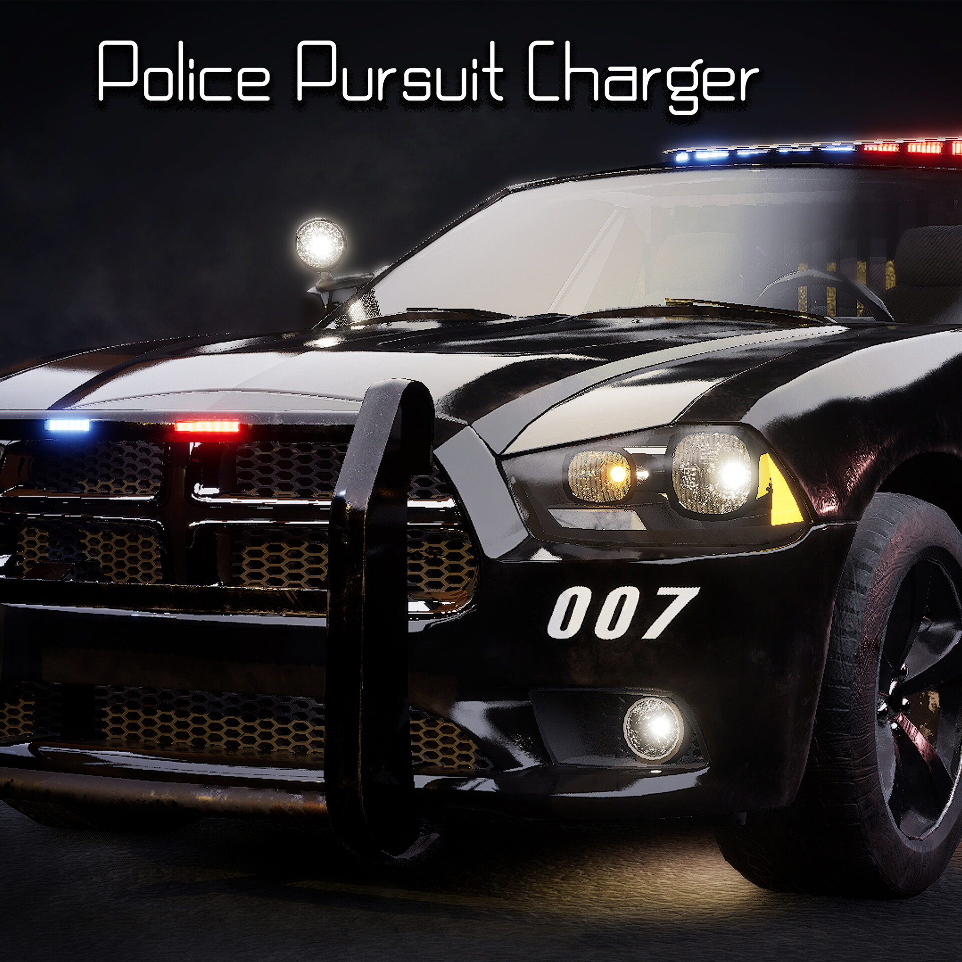 Taylor Mitchell - Police Pursuit Vehicle - 2011 Dodge Charger