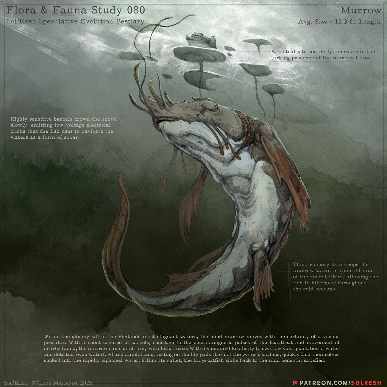 Terry Maranda - Murrow