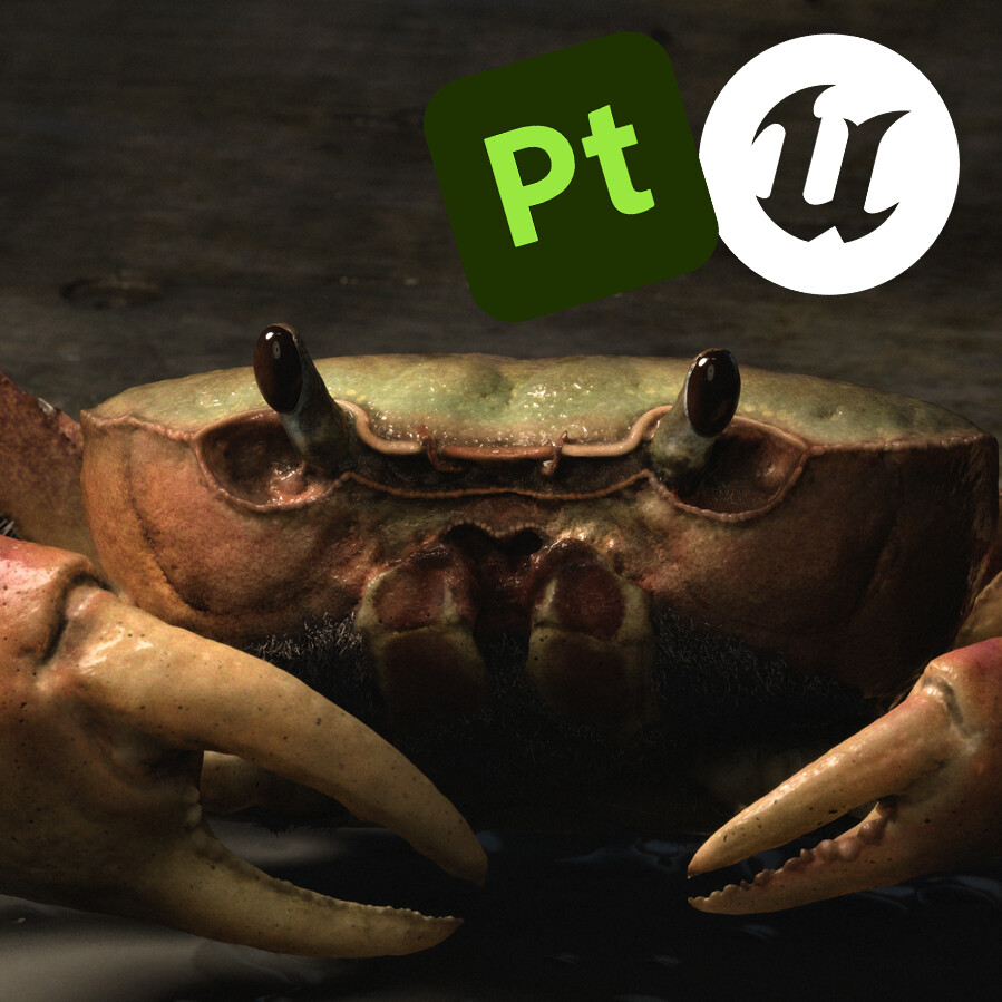 ArtStation - Land Crab (Unreal Engine Project)
