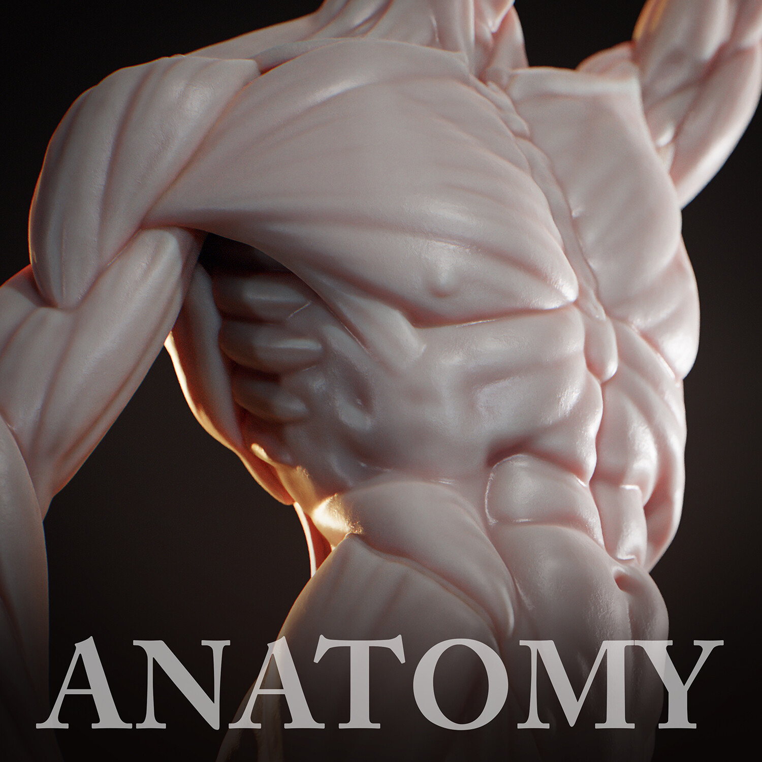 ArtStation - Plastic Anatomy of the Body: écorché