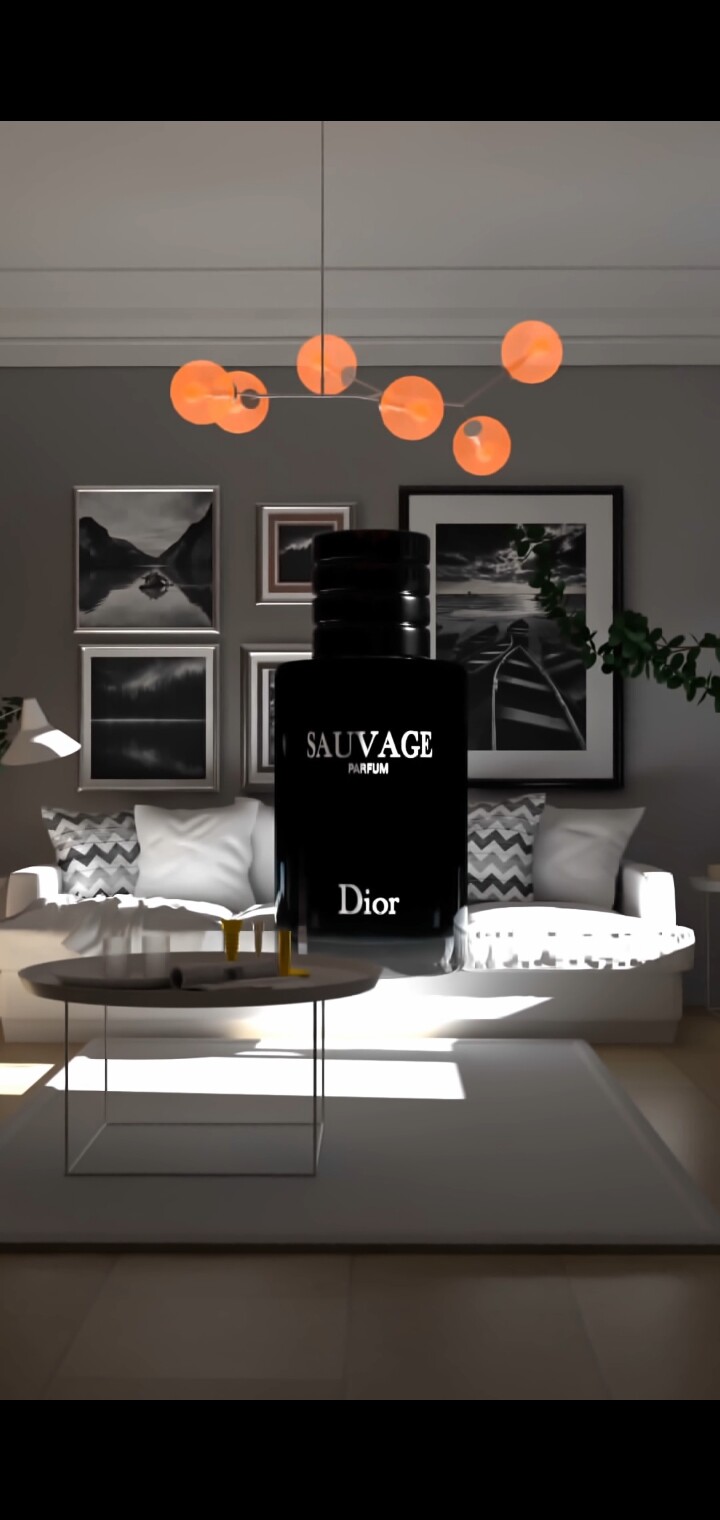 ArtStation - THE DIOR