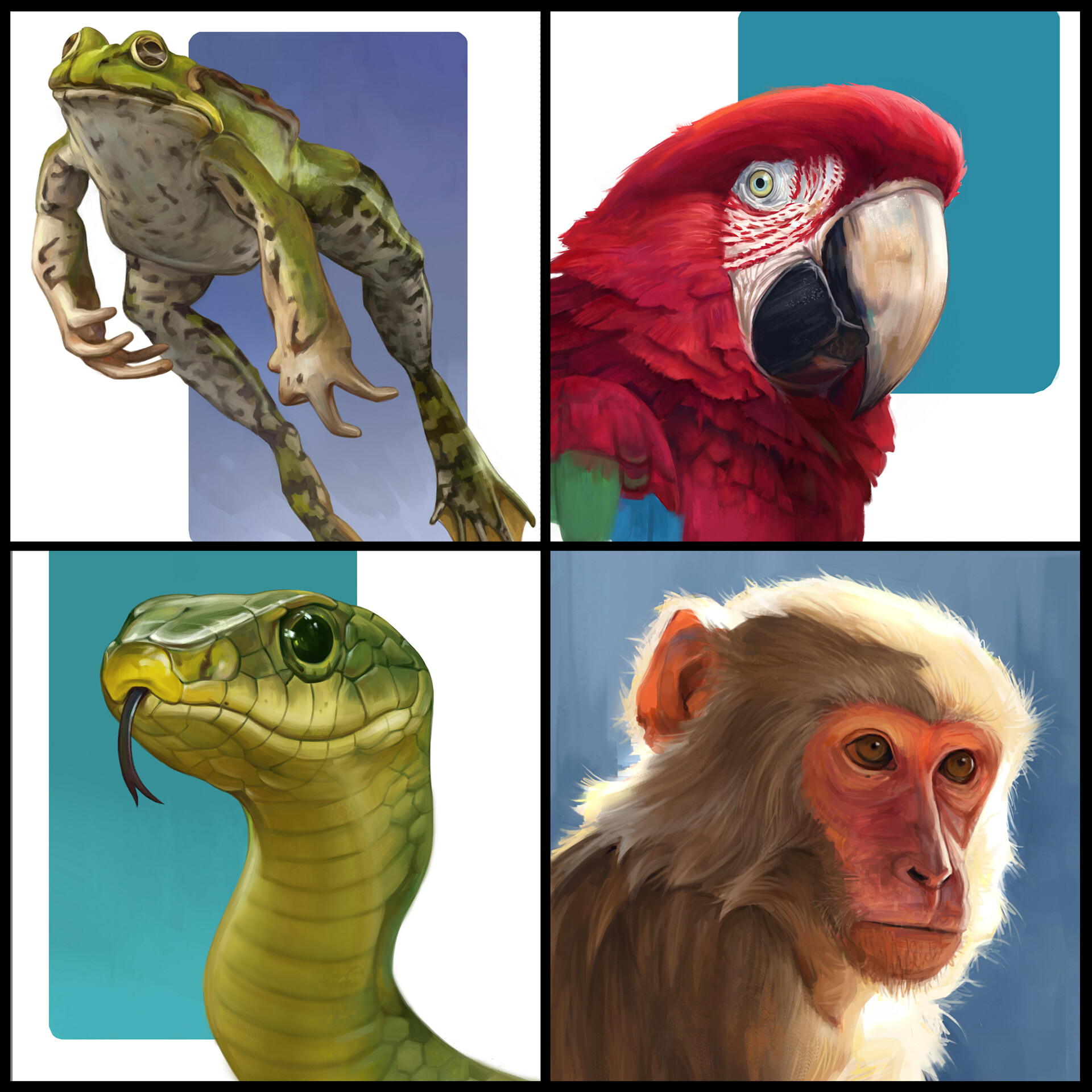 ArtStation - Animals study