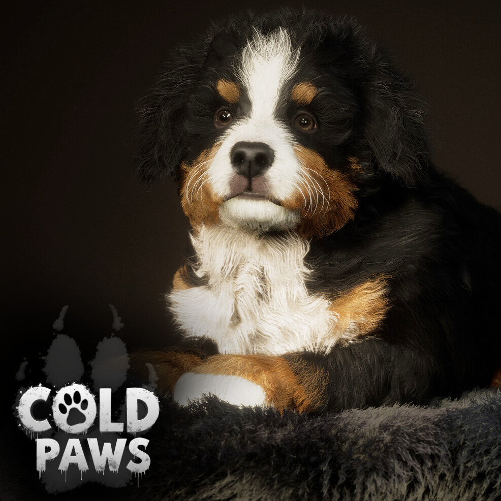 ArtStation - ColdPaws - Digital Dog Mounti - Realtime cards Fur ...