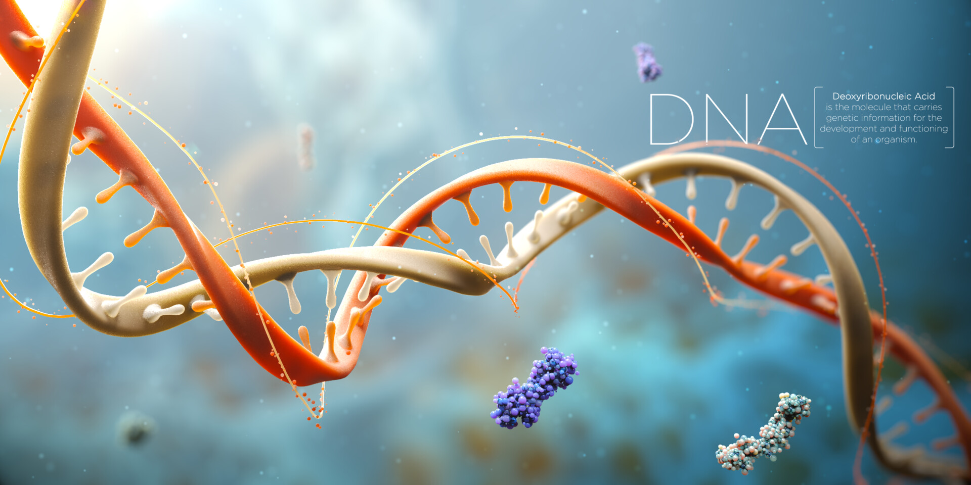 ArtStation - DNA, Discover the double helix!