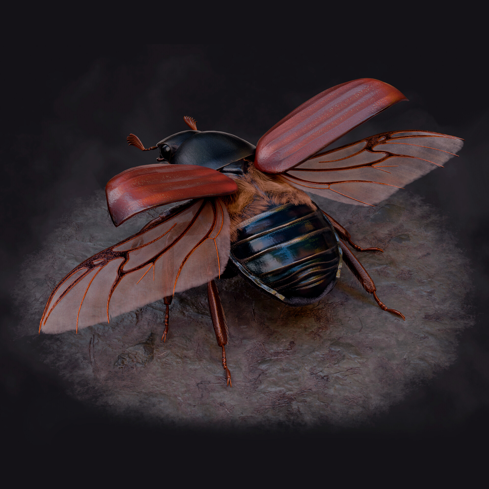 ArtStation - bug