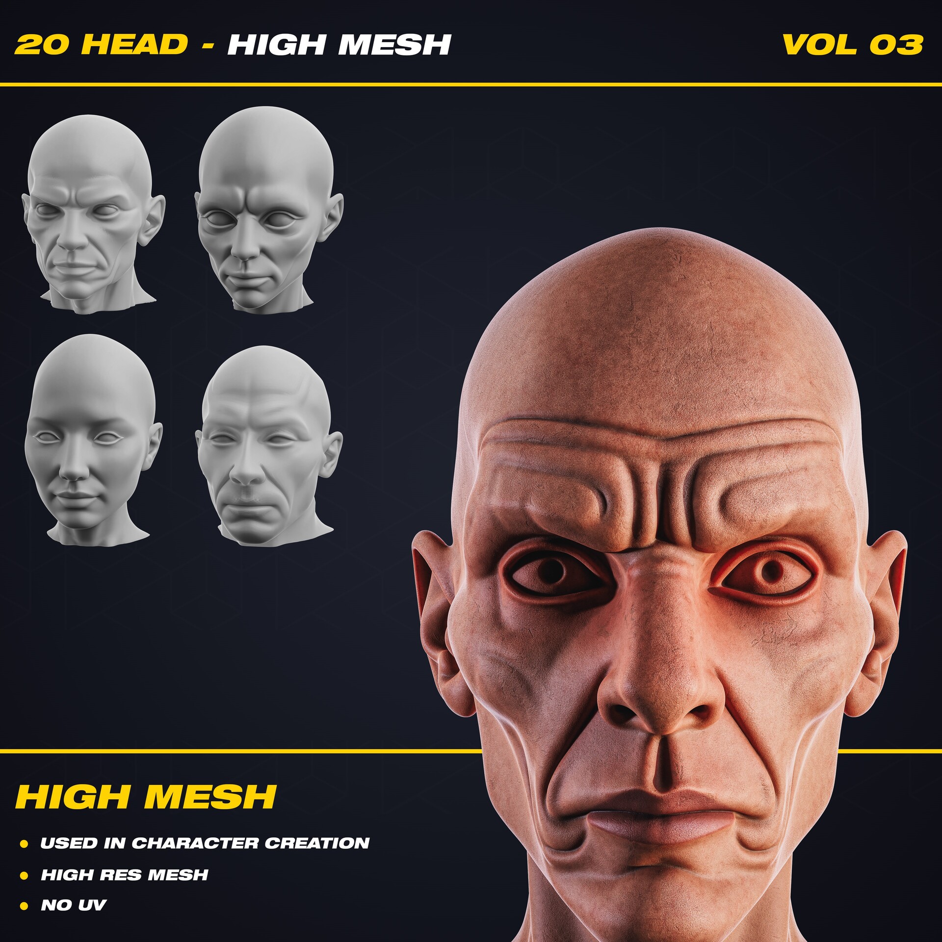 ArtStation - 20 Head - High Mesh Vol 03