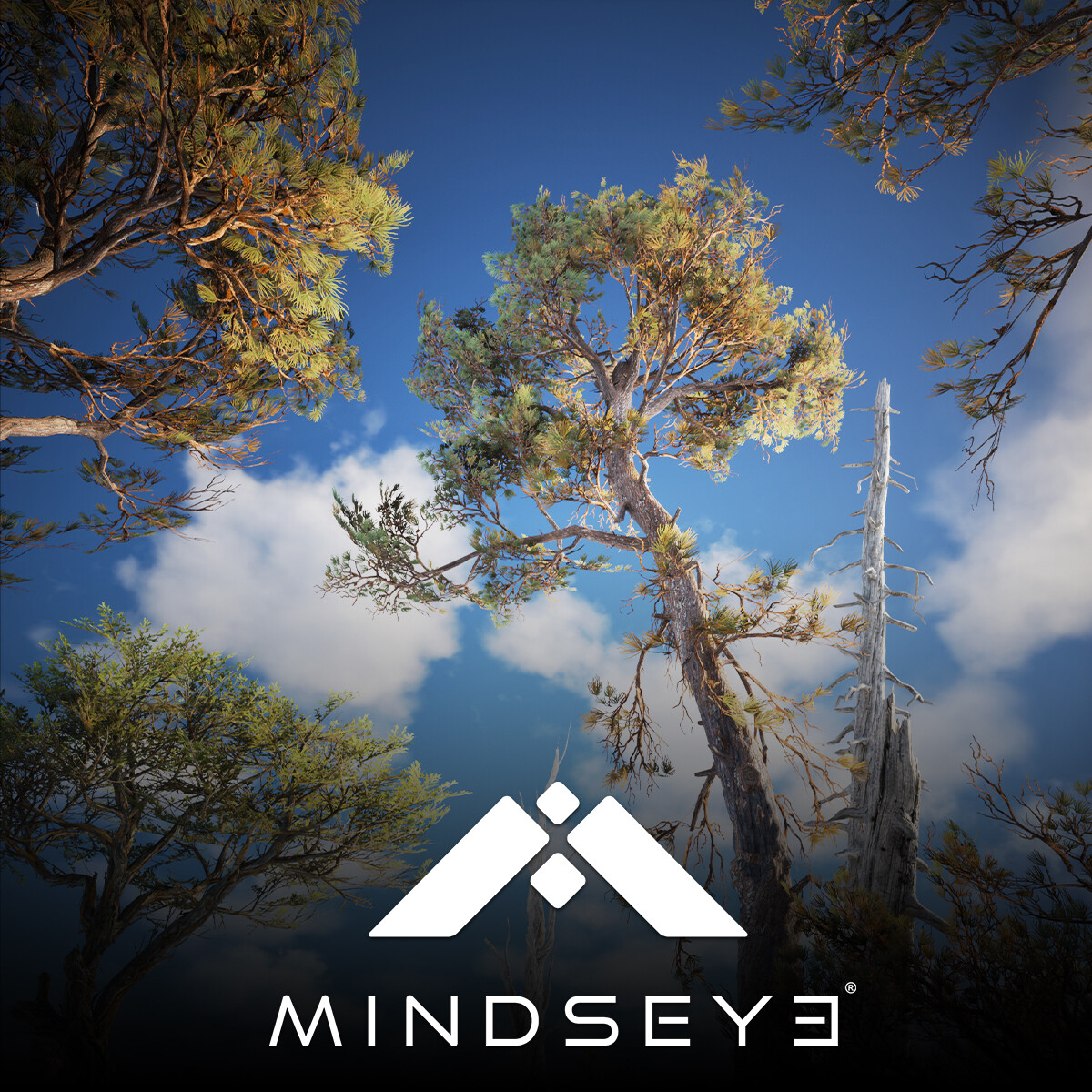 ArtStation - Mindseye - Desert Trees